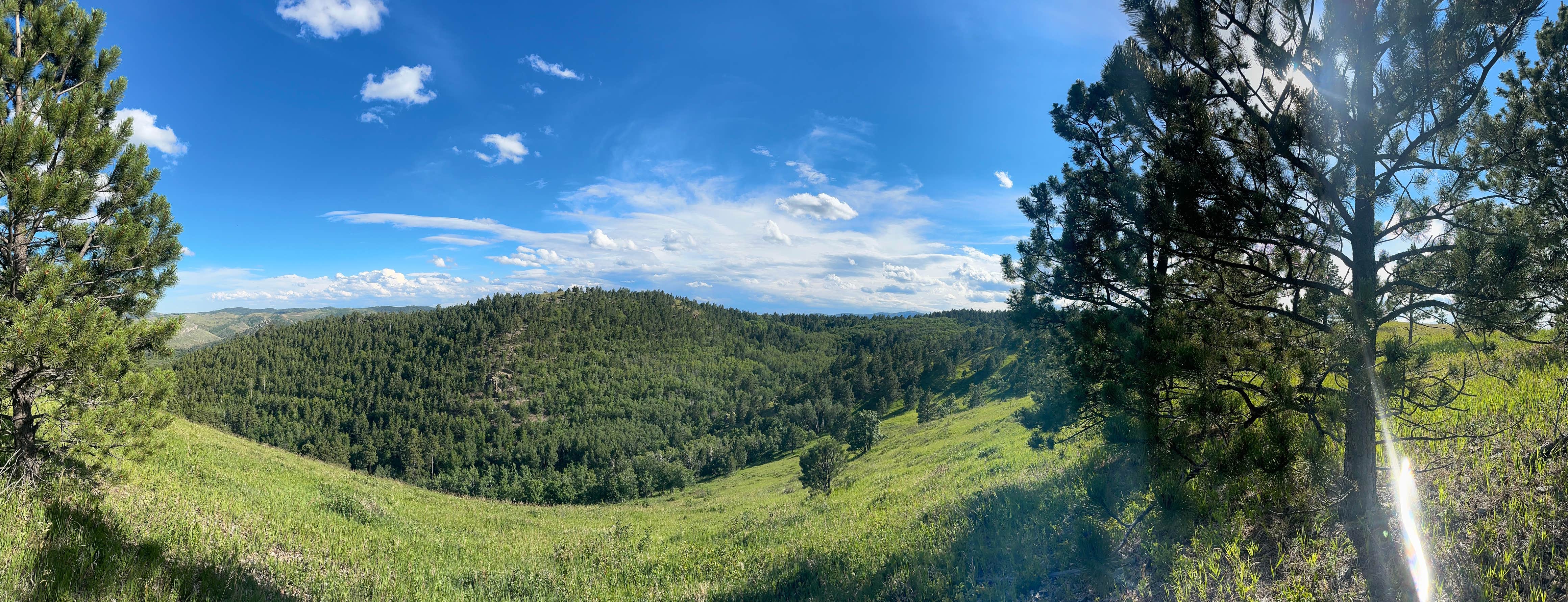 Mount Roosevelt Camp | Deadwood, SD