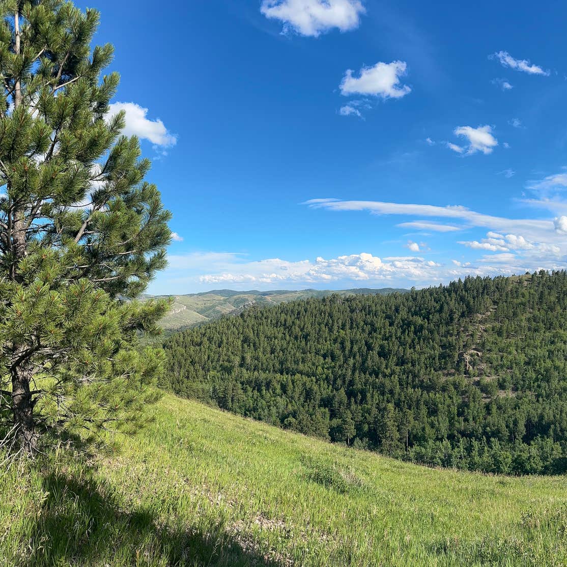 Mount Roosevelt Camp | Deadwood, South Dakota