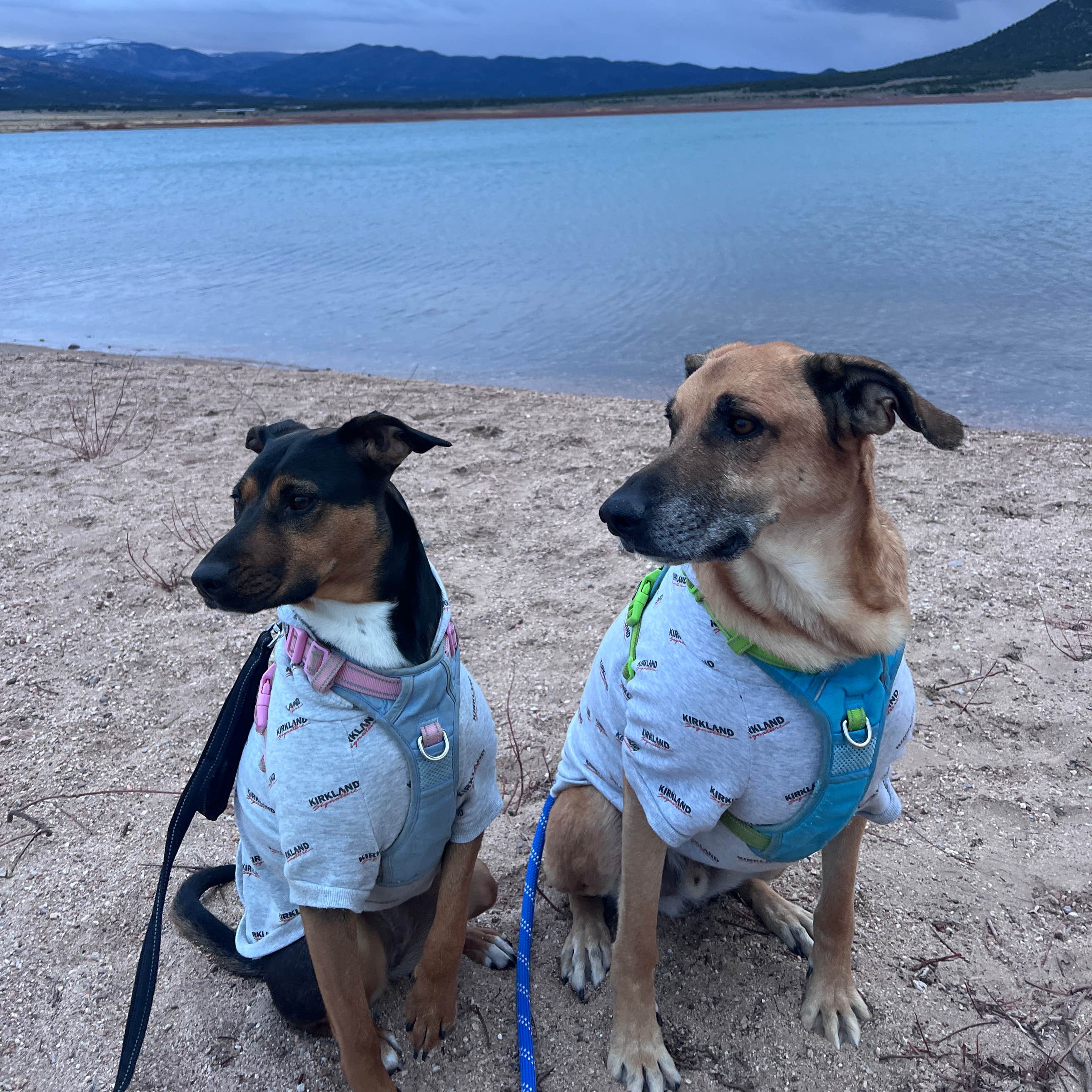 Mountain Home Reservoir Camping | Blanca, Colorado