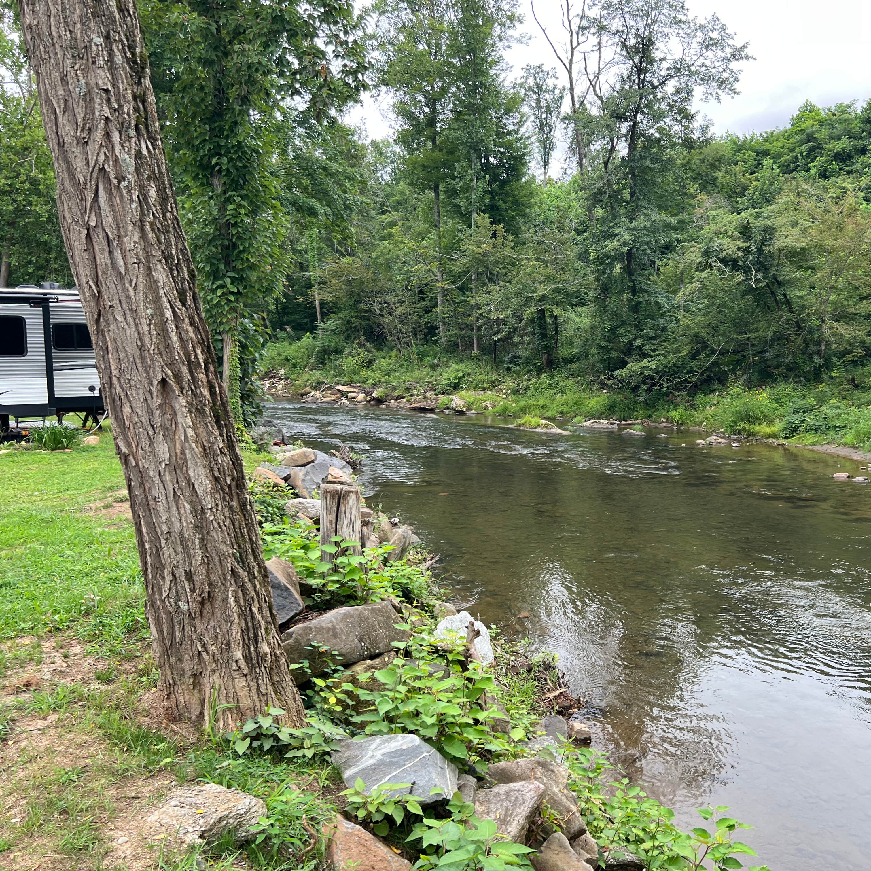 Mountain River Family Campground | Linville Falls, North Carolina