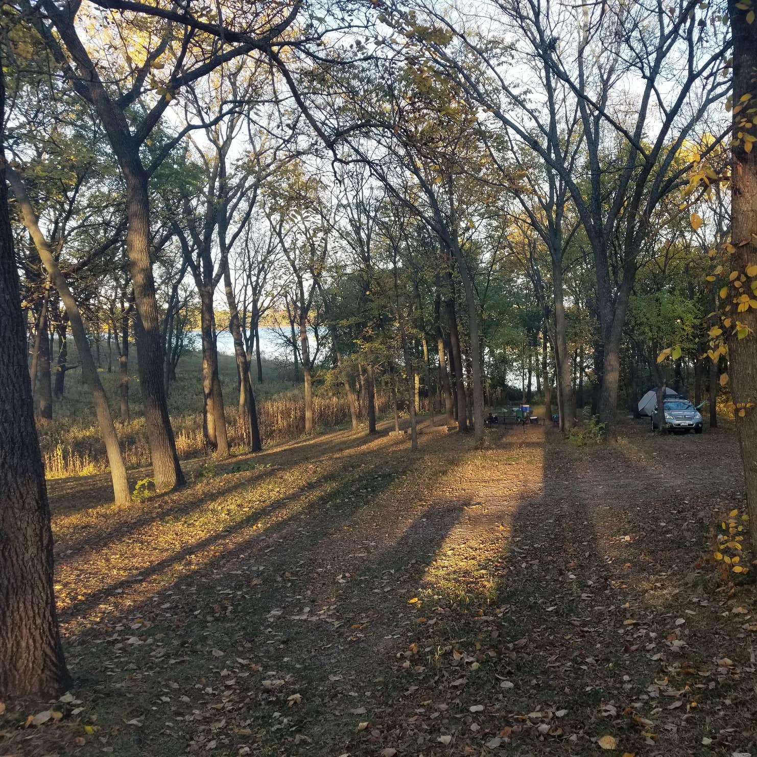 Mozingo Lake County Tent Campground | Maryville, Missouri