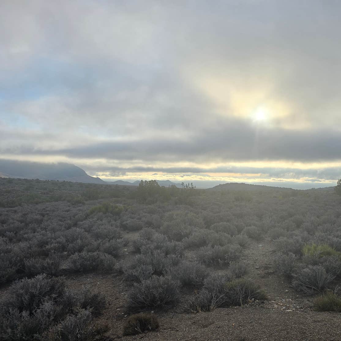 Mt Irish Campsite | Hiko, Nevada