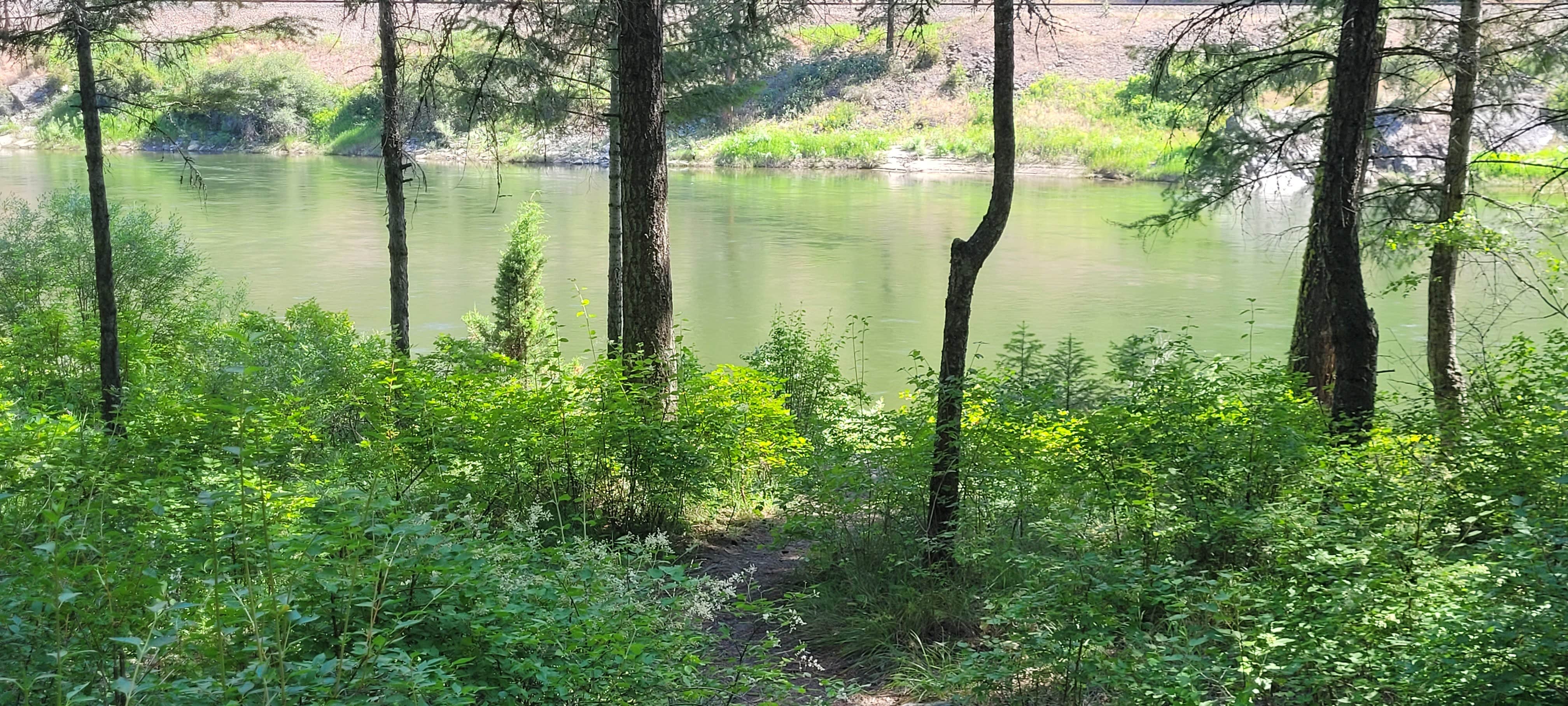 Muchwater Recreation Area Camping | Paradise, MT