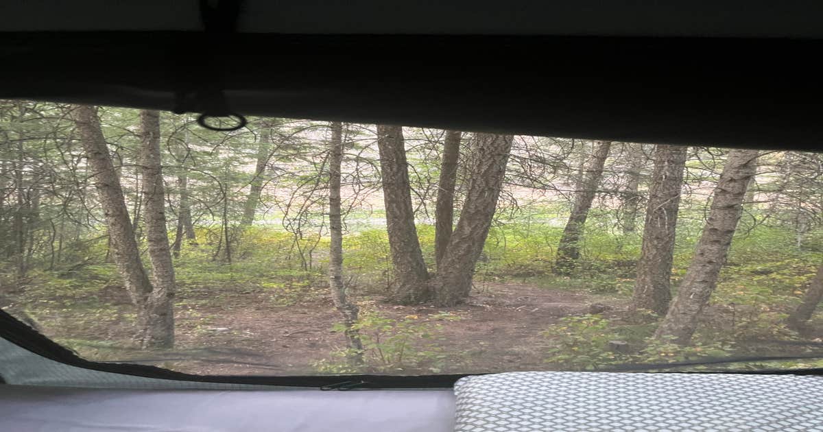 Muchwater Recreation Area Camping | Paradise, Montana