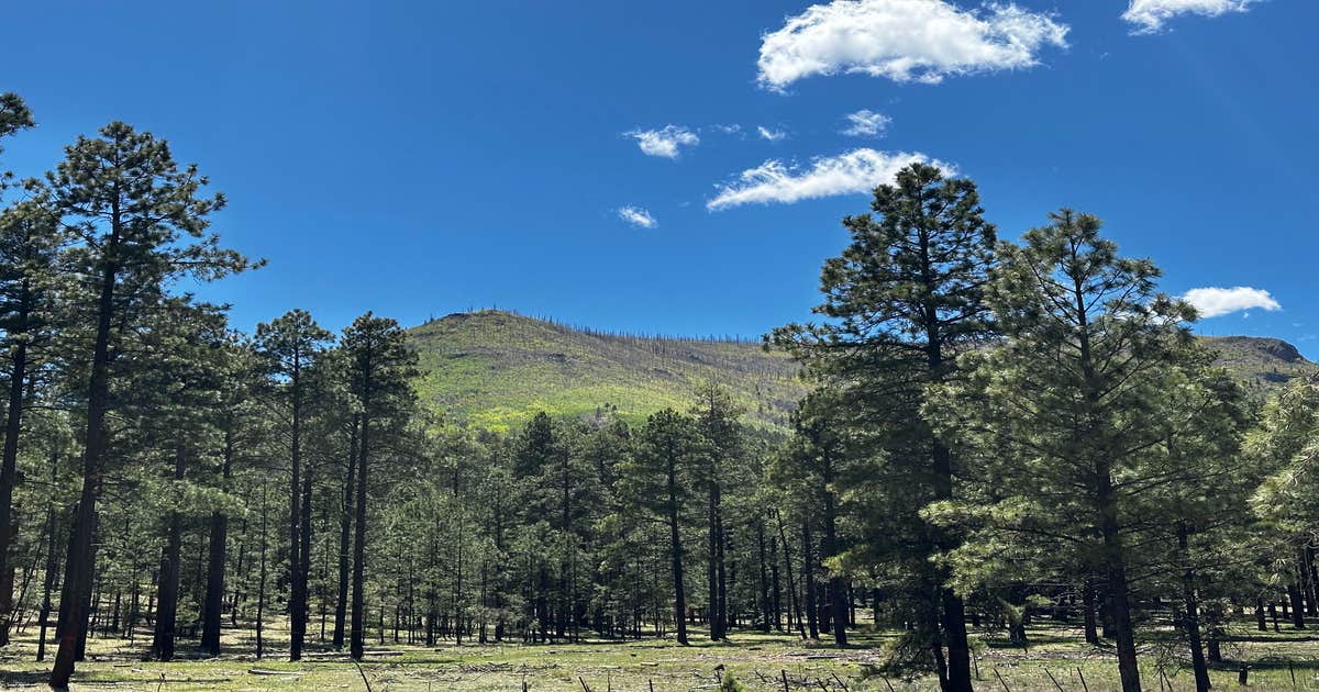Mud Spring Camping | Alpine, Arizona