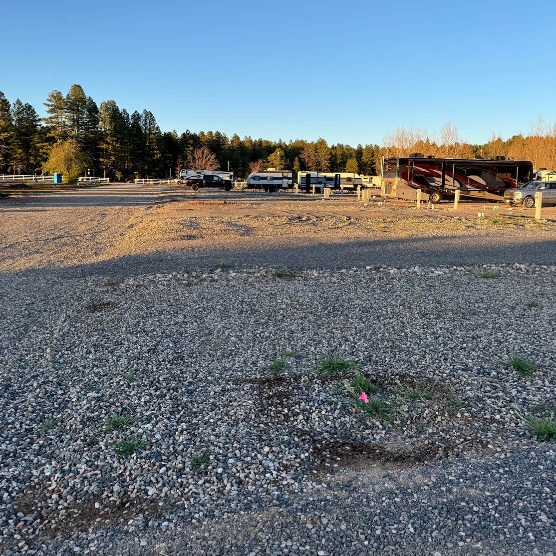 Munds Park RV Resort | Munds Park, Arizona