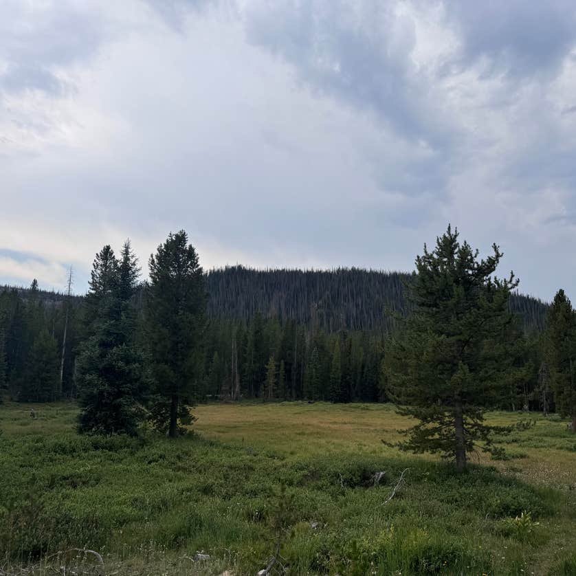 Murdock Basin Camping | Kamas, Utah