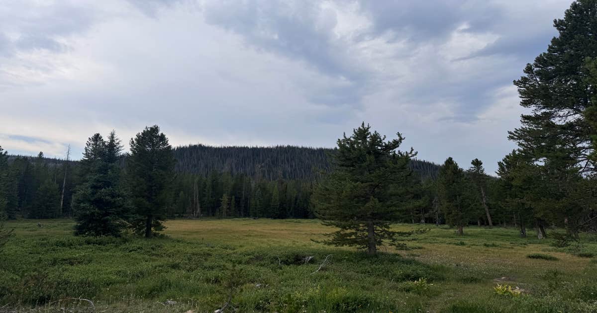 Murdock Basin Camping | Kamas, Utah