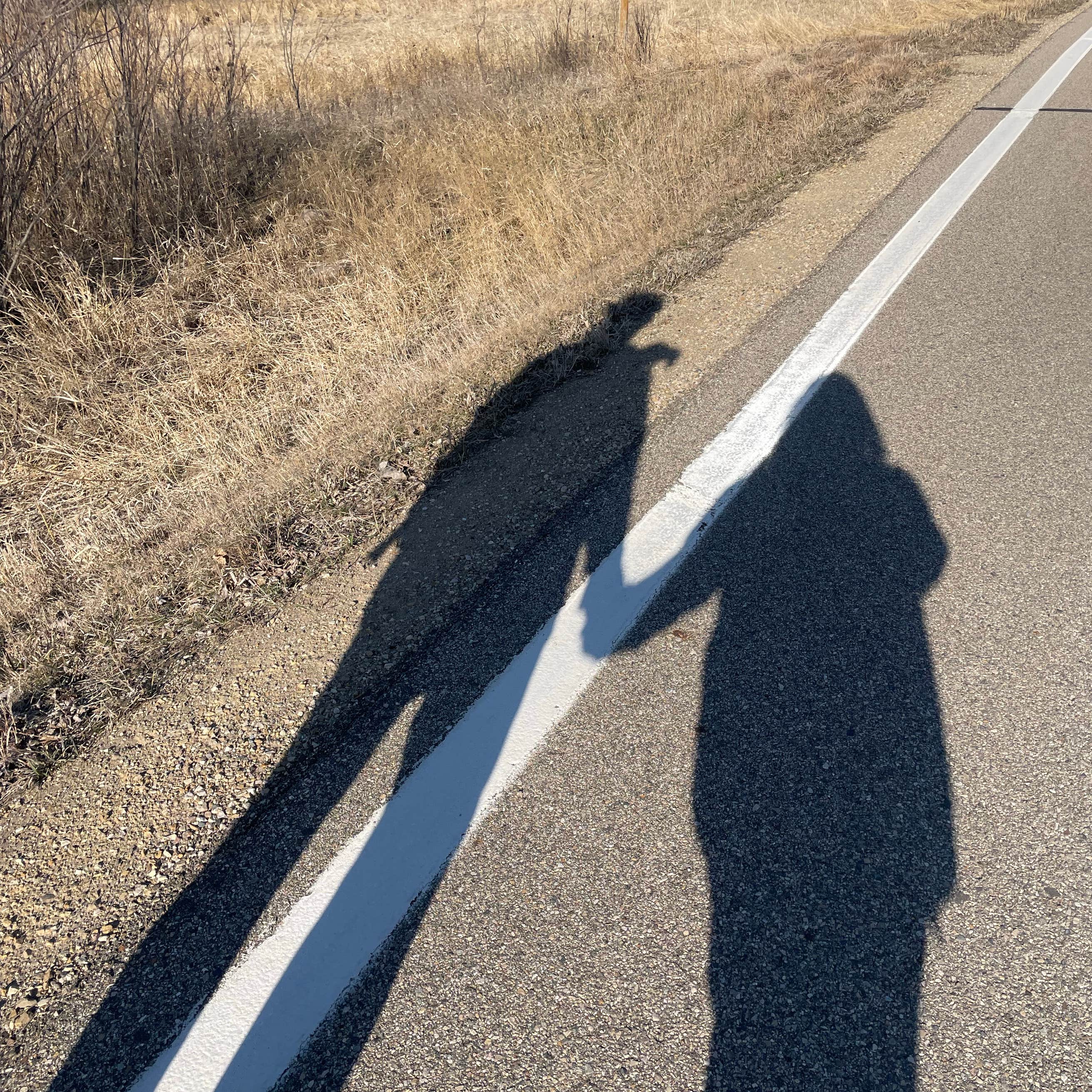 White Fox — Myre-Big Island State Park Camping | Albert Lea, Minnesota