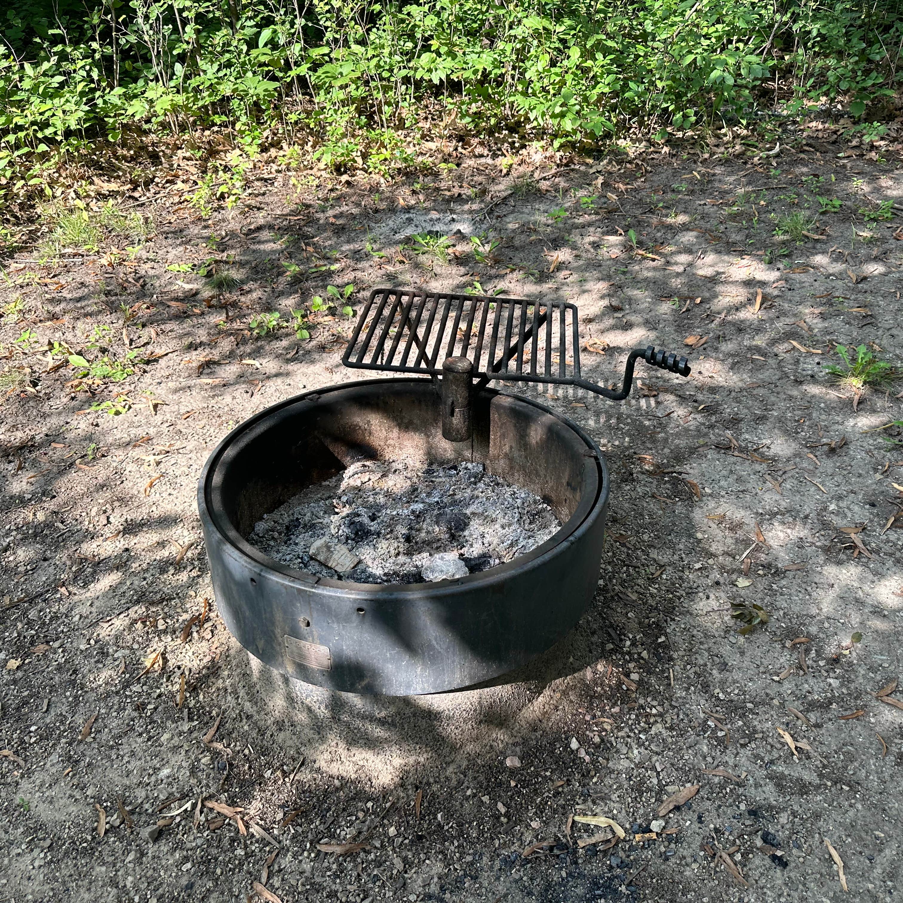 White Fox — Myre-Big Island State Park Camping | Albert Lea, Minnesota