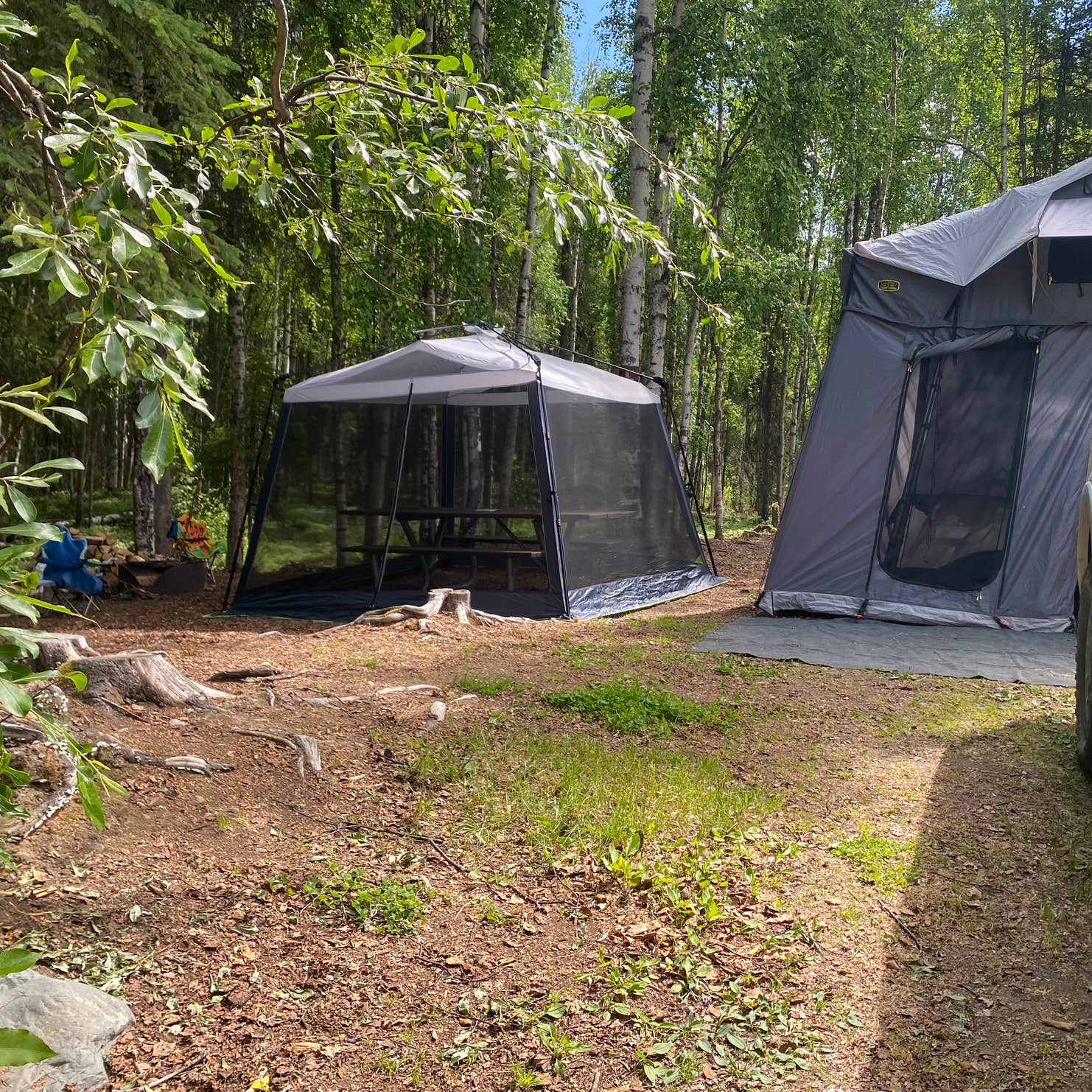 Nancy Lake State Recreation Site Campground | Willow, Alaska