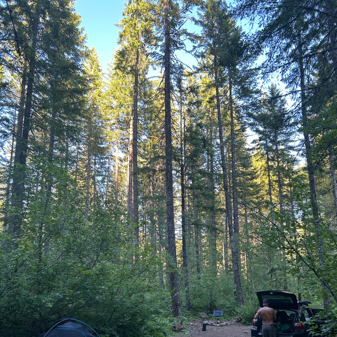 NF-65 National Forest Dispersed Site Camping | Carson, Washington