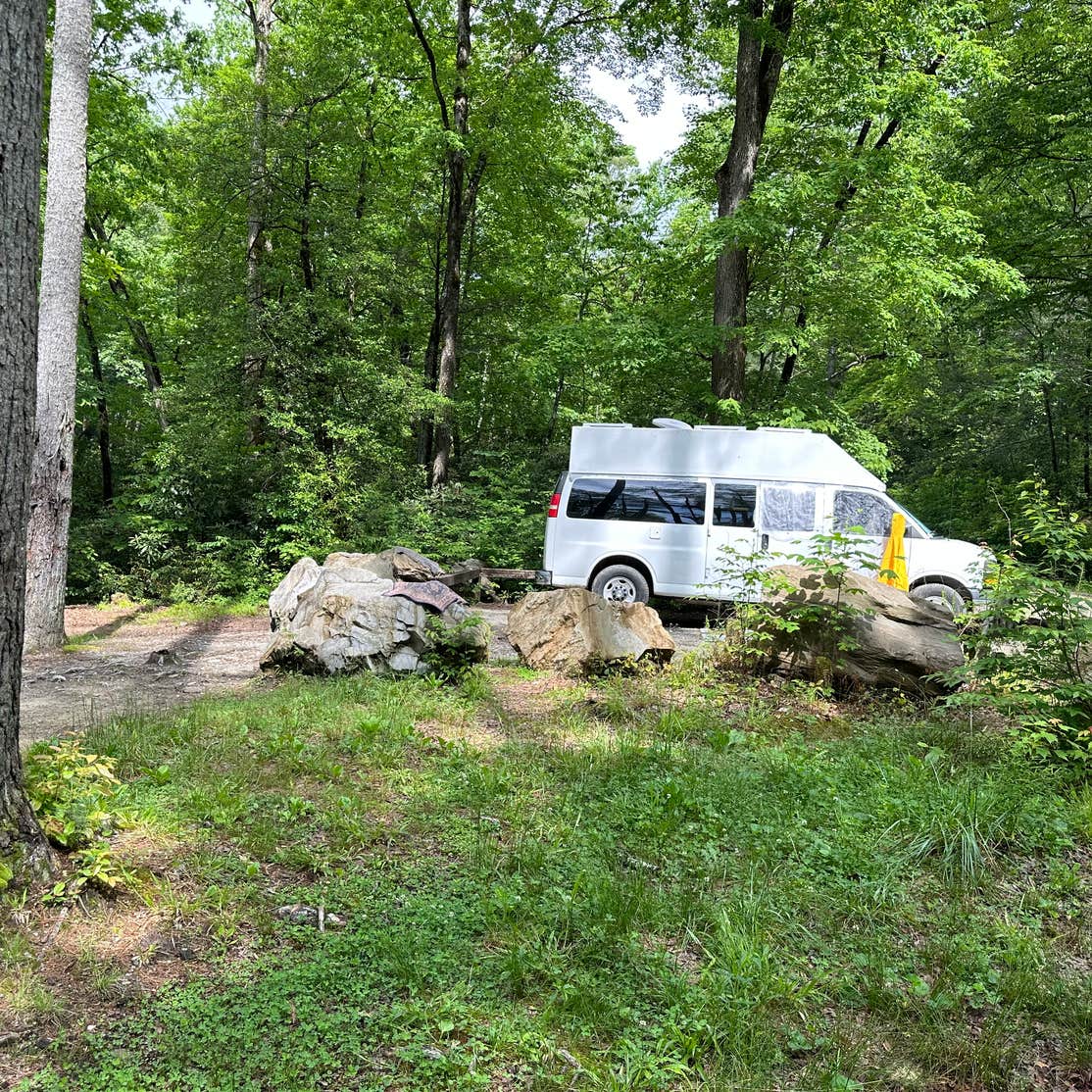 National Forest Road/Steele Creek/Nates Place Dispersed Campsite ...