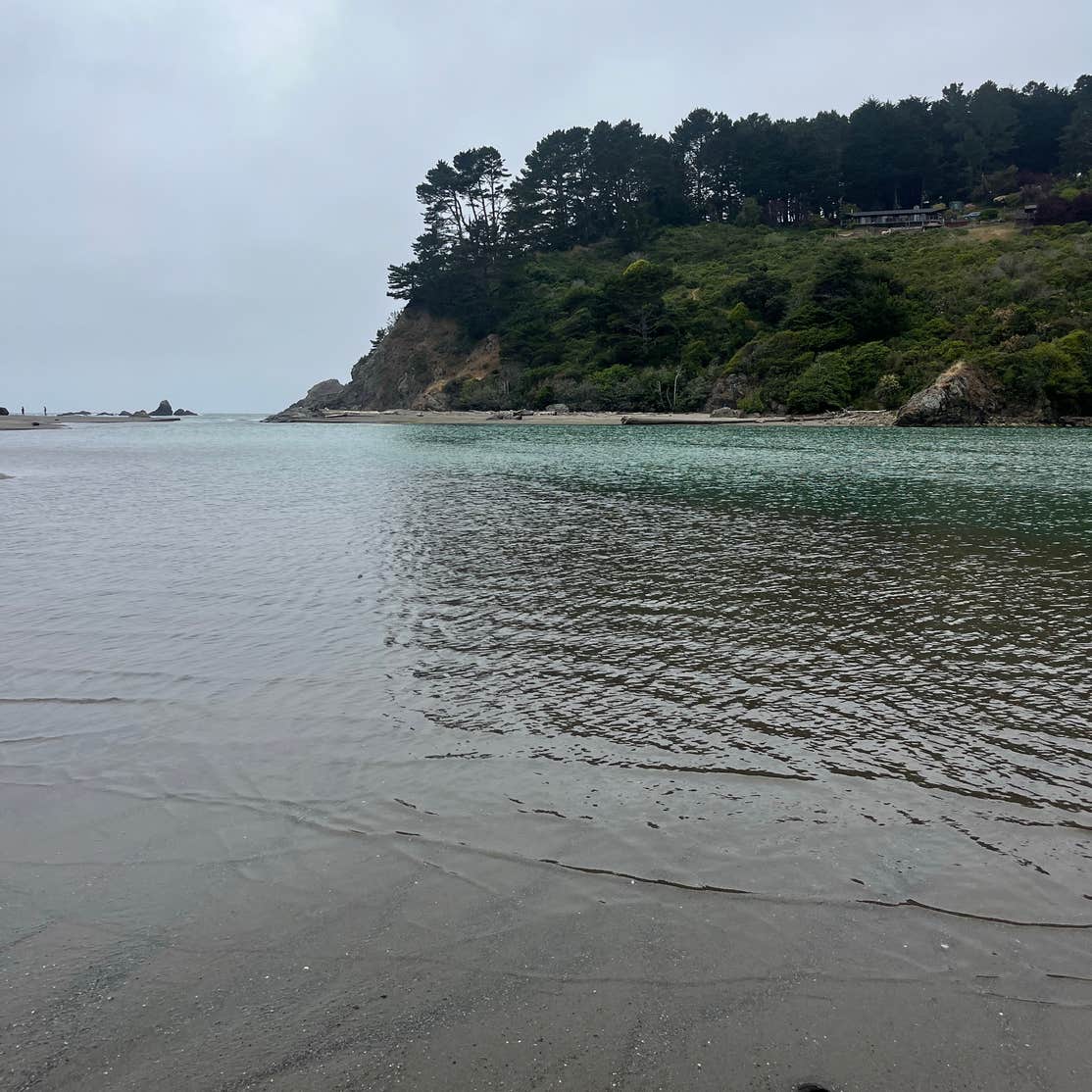 Navarro Beach Campground — Navarro River Redwoods State Park | Albion ...