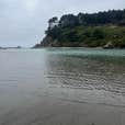 Navarro Beach Campground — Navarro River Redwoods State Park | Albion ...