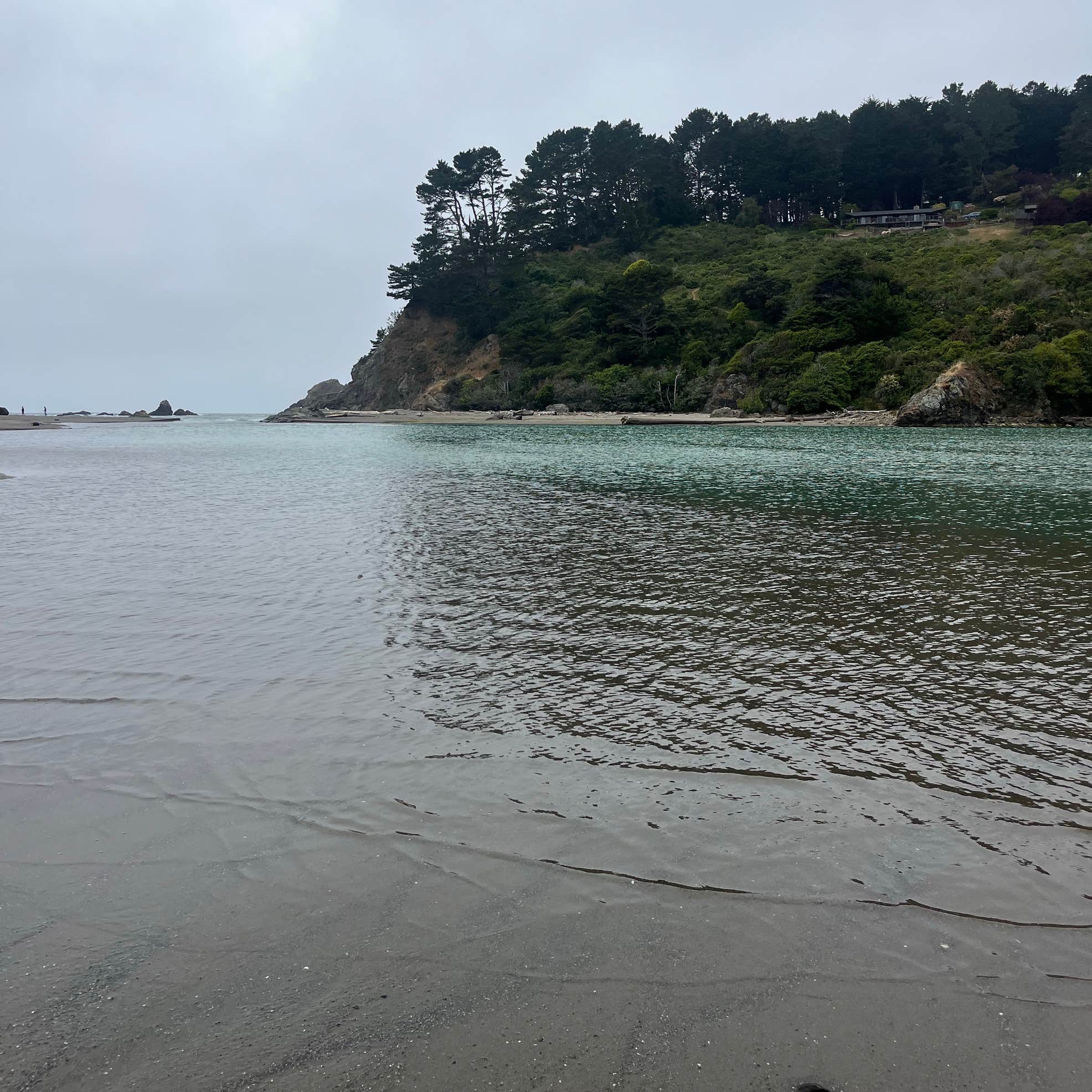 Navarro Beach Campground — Navarro River Redwoods State Park | Albion ...