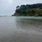 Navarro Beach Campground — Navarro River Redwoods State Park | Albion ...