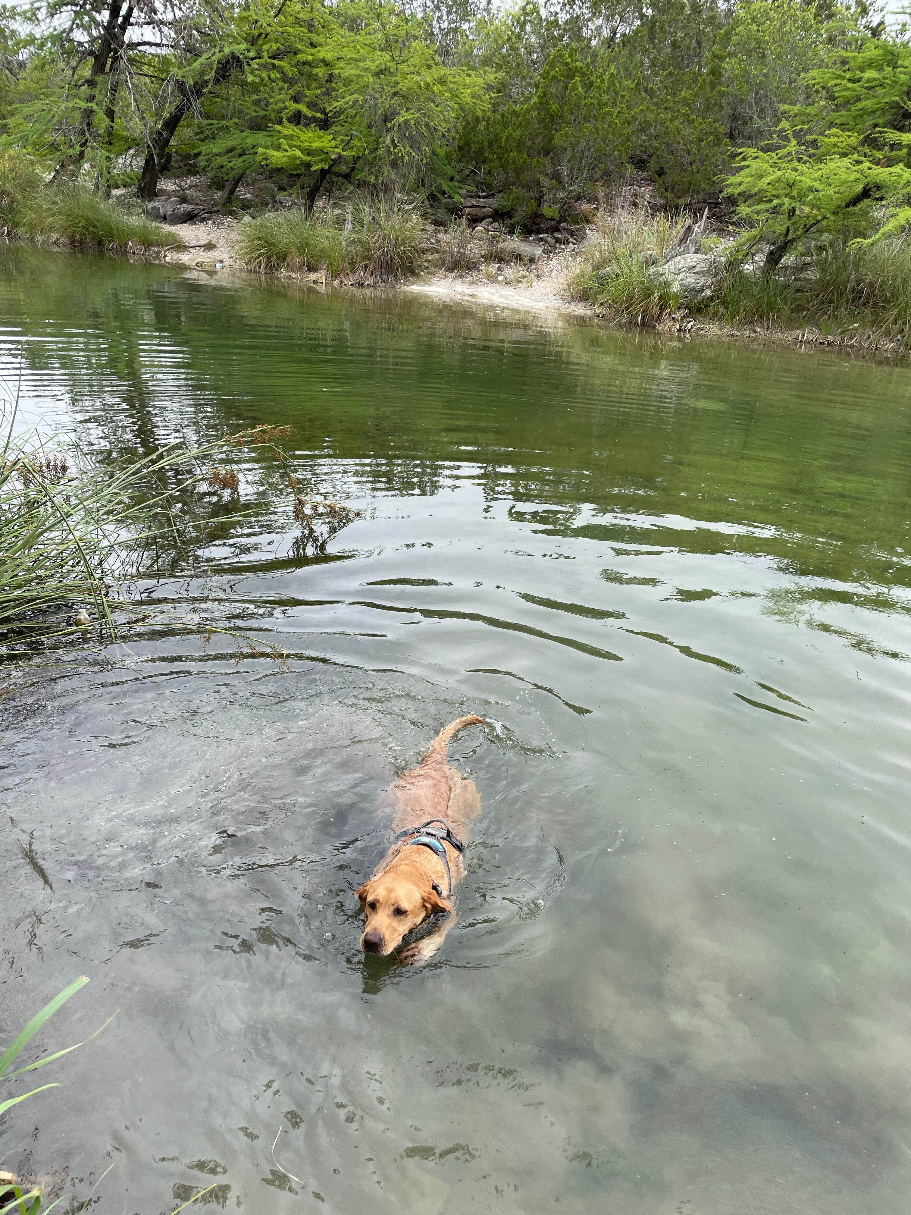 Neal's Lodge Camping | Concan, TX
