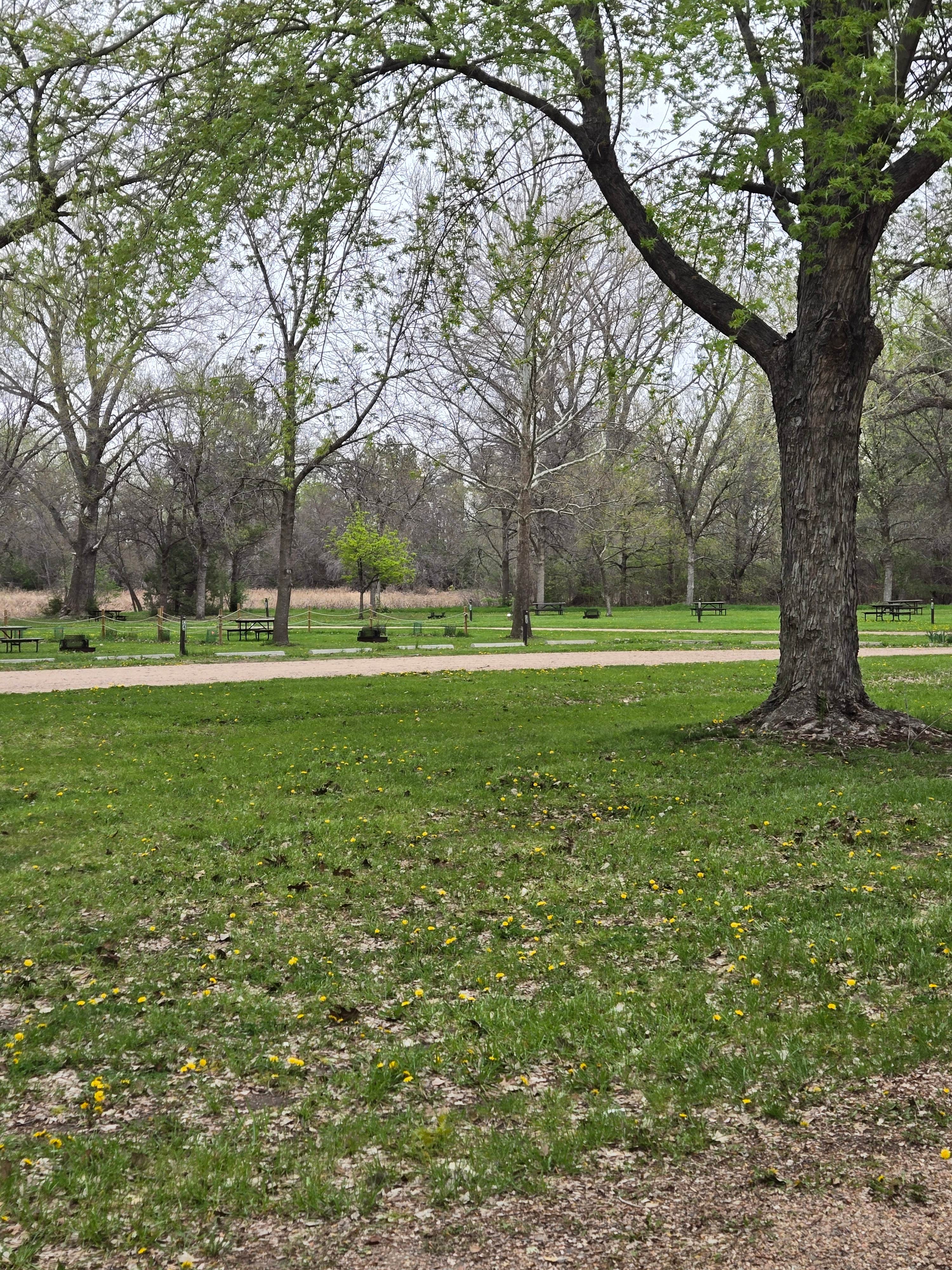 Johnson Lake State Recreation Area Camping | Elwood, Nebraska