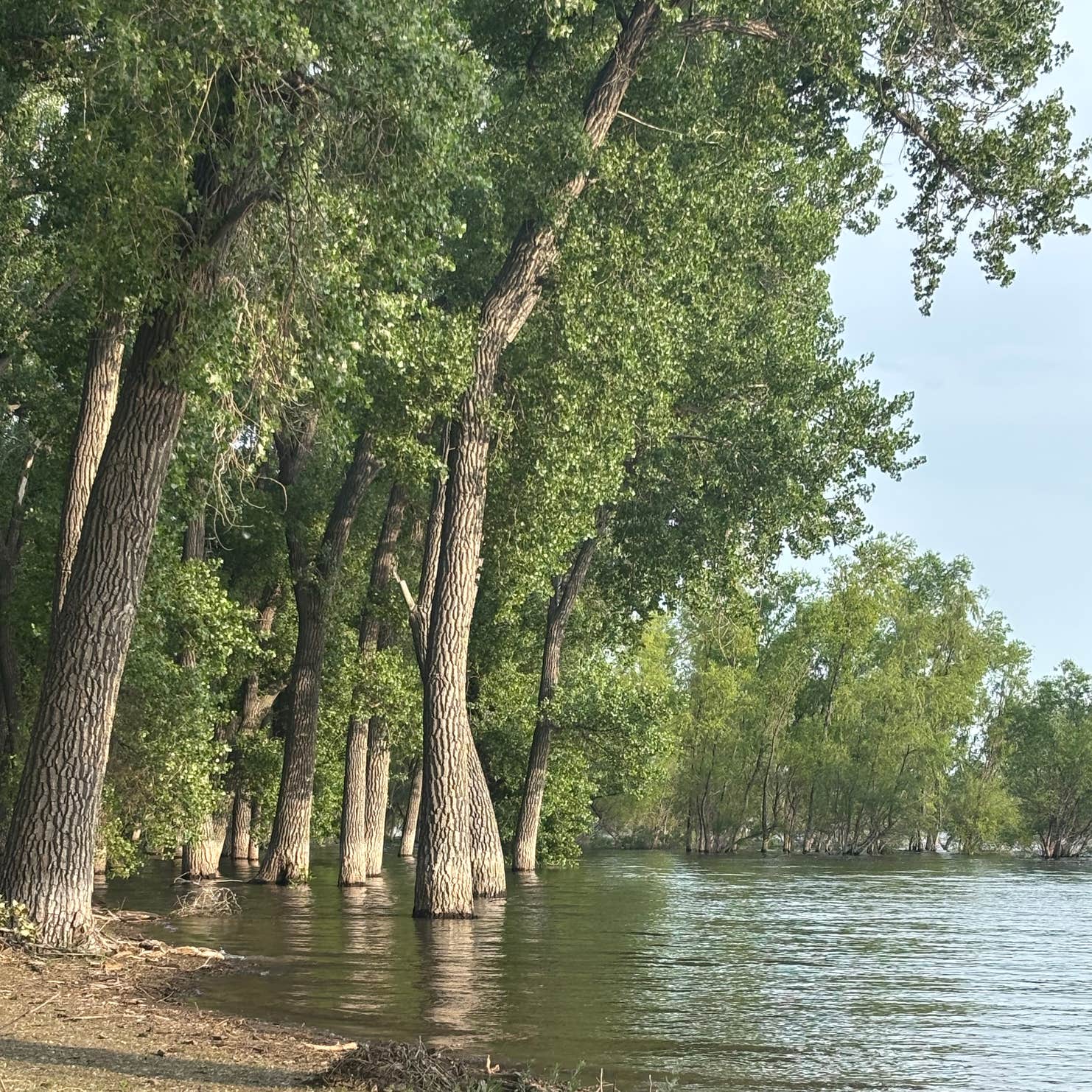 West Wind - Lake Minatare SRA Camping | Scottsbluff, Nebraska
