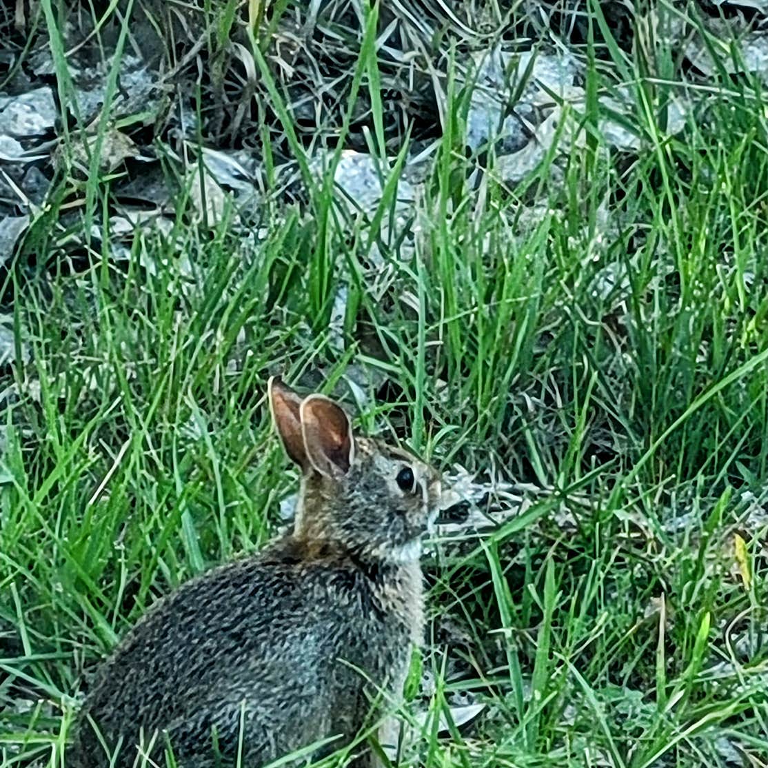 Sandy Channel State Rec Area Camping | Holdrege, Nebraska