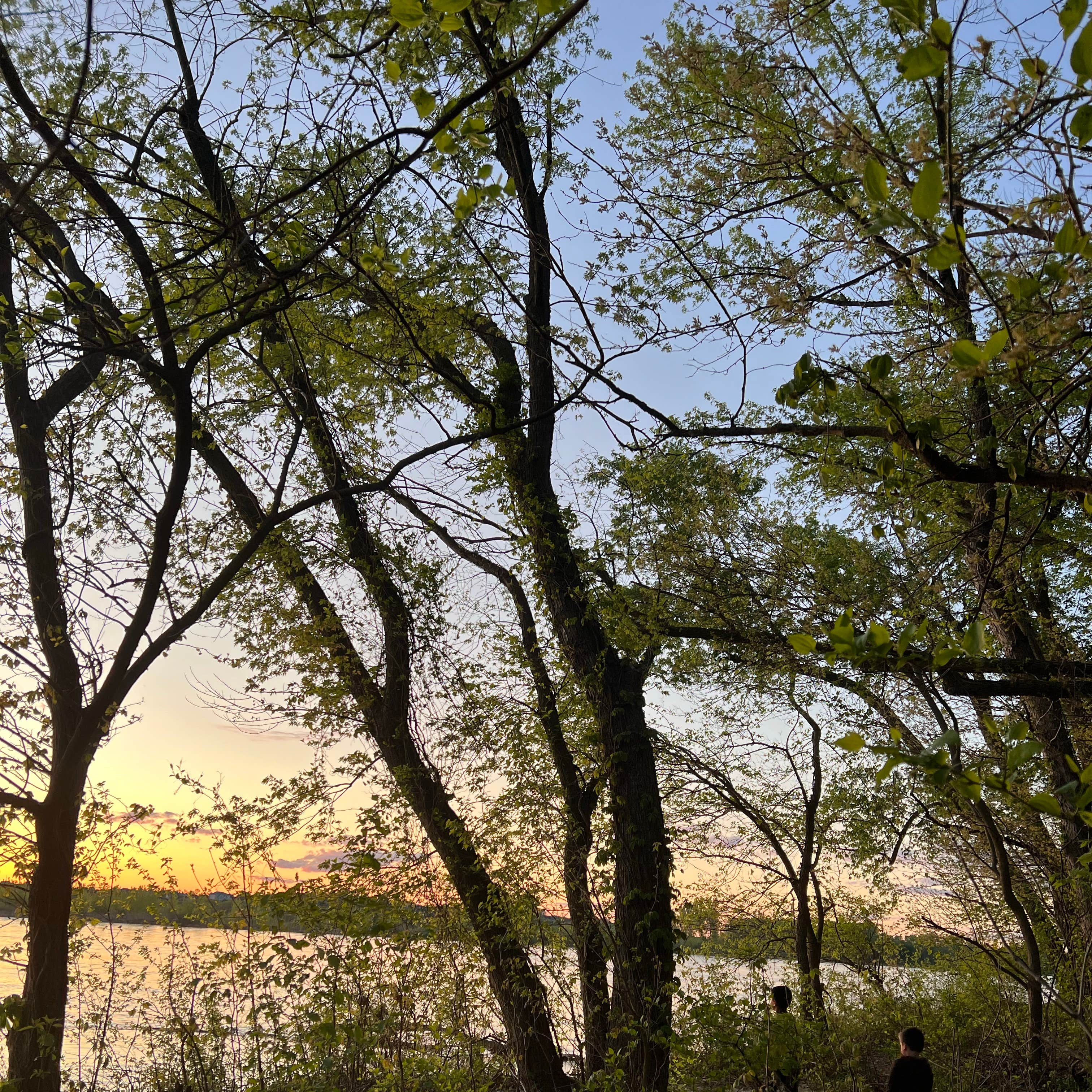 Union Pacific Cabooses — Two Rivers SRA Camping | Waterloo, Nebraska