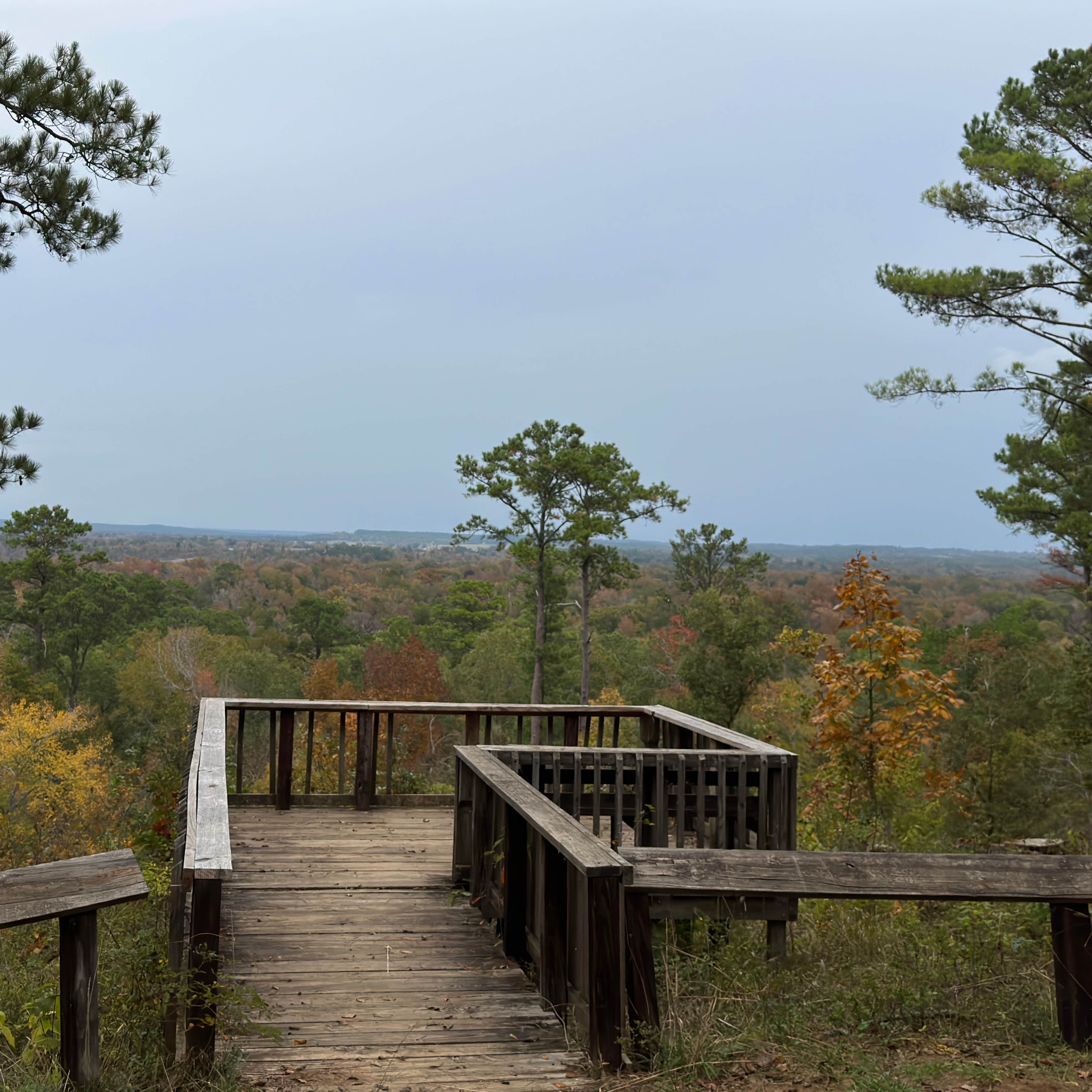 Neches Bluff Overlook Campground | Weches, TX
