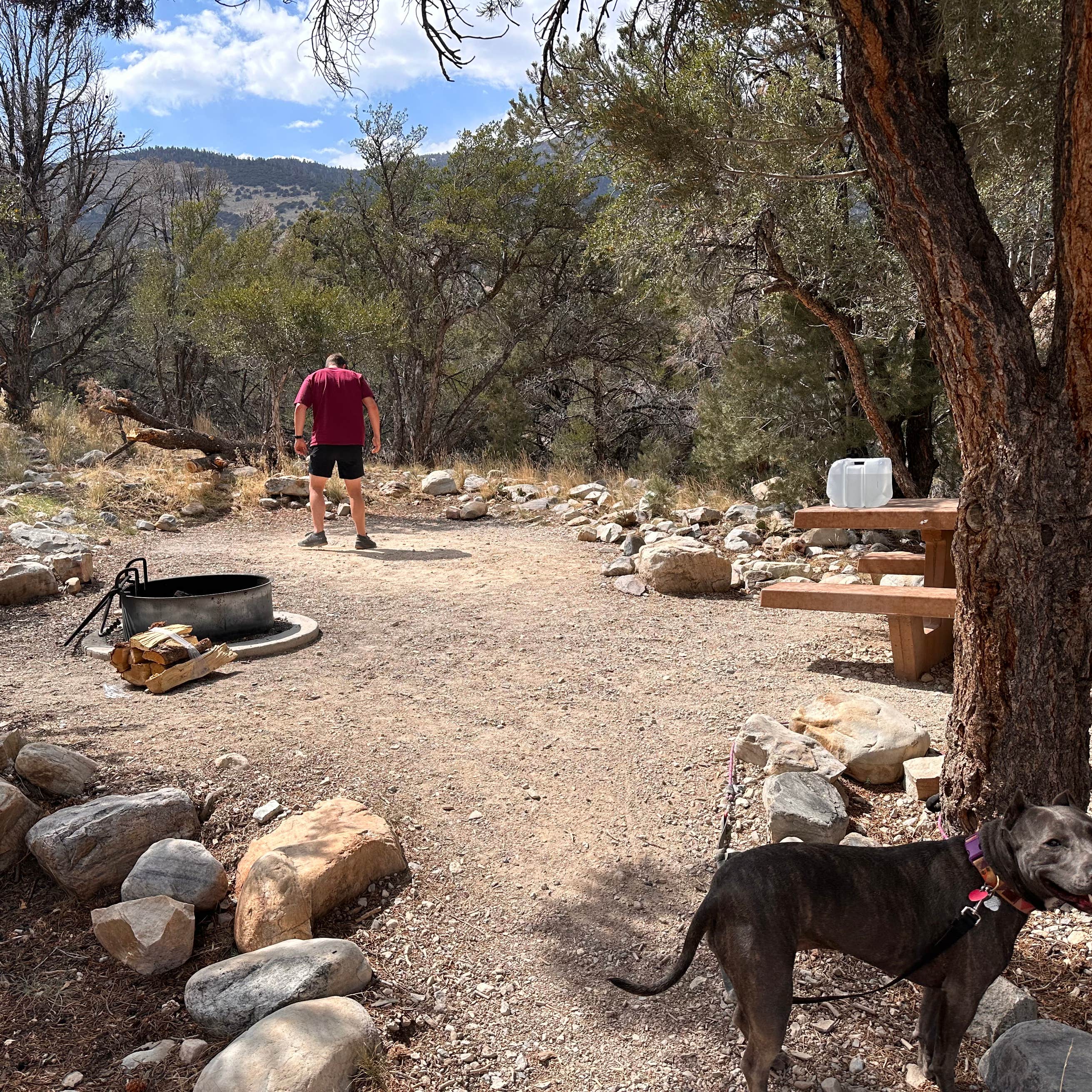 Baker Creek Campground — Great Basin National Park | Baker, Nevada