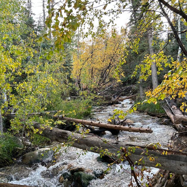 Baker Creek Campground — Great Basin National Park | Baker, NV