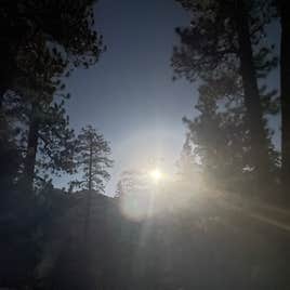 McWilliams Campground | Mount Charleston, Nevada