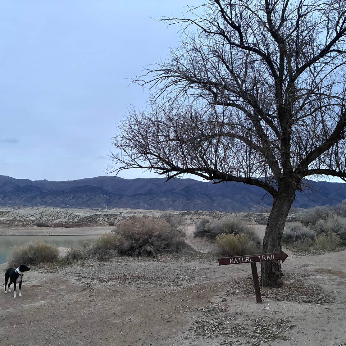 Rye Patch State Recreation Area Camping | Lovelock, Nevada
