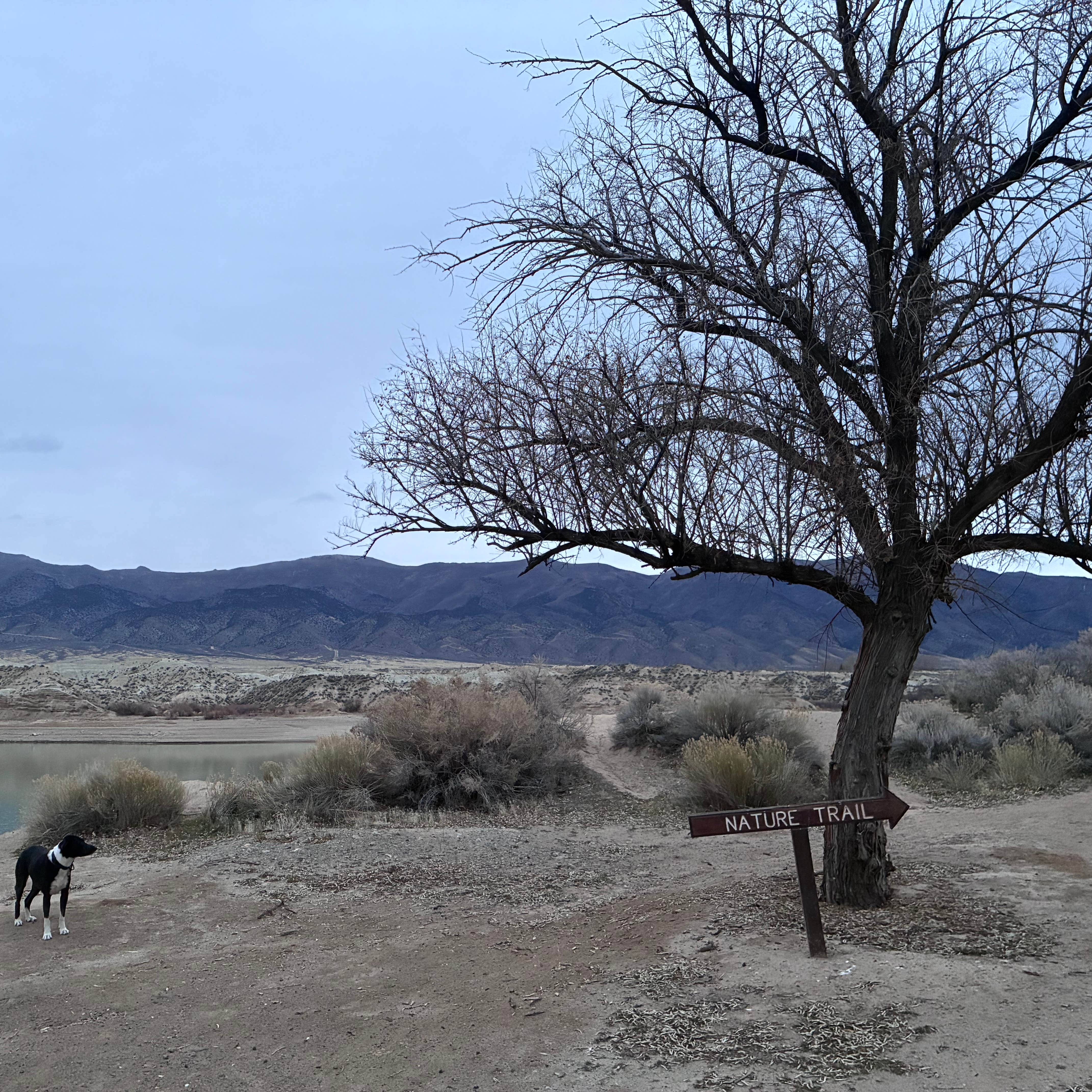 Rye Patch State Recreation Area Camping | Lovelock, Nevada