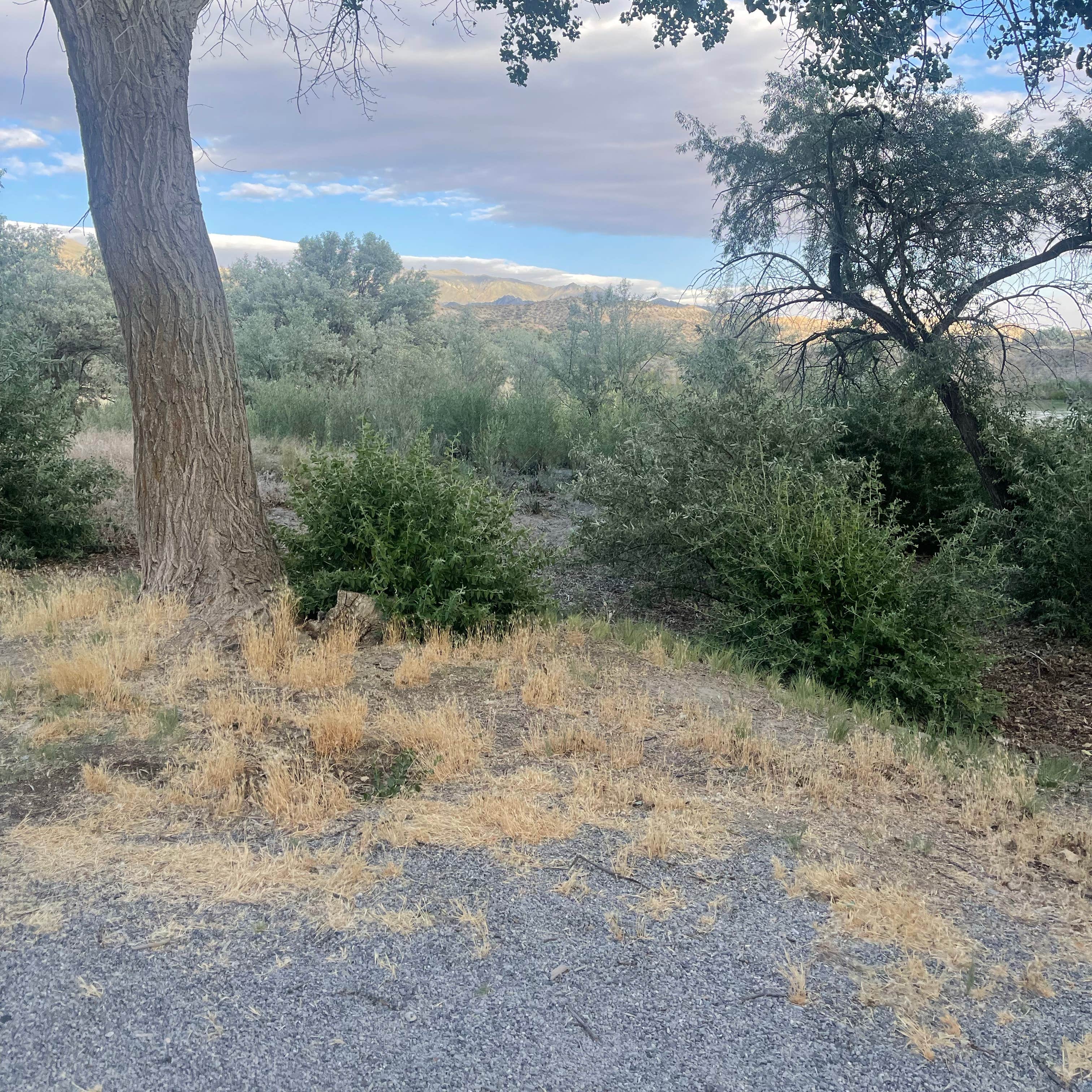 Rye Patch State Recreation Area Camping | Lovelock, Nevada