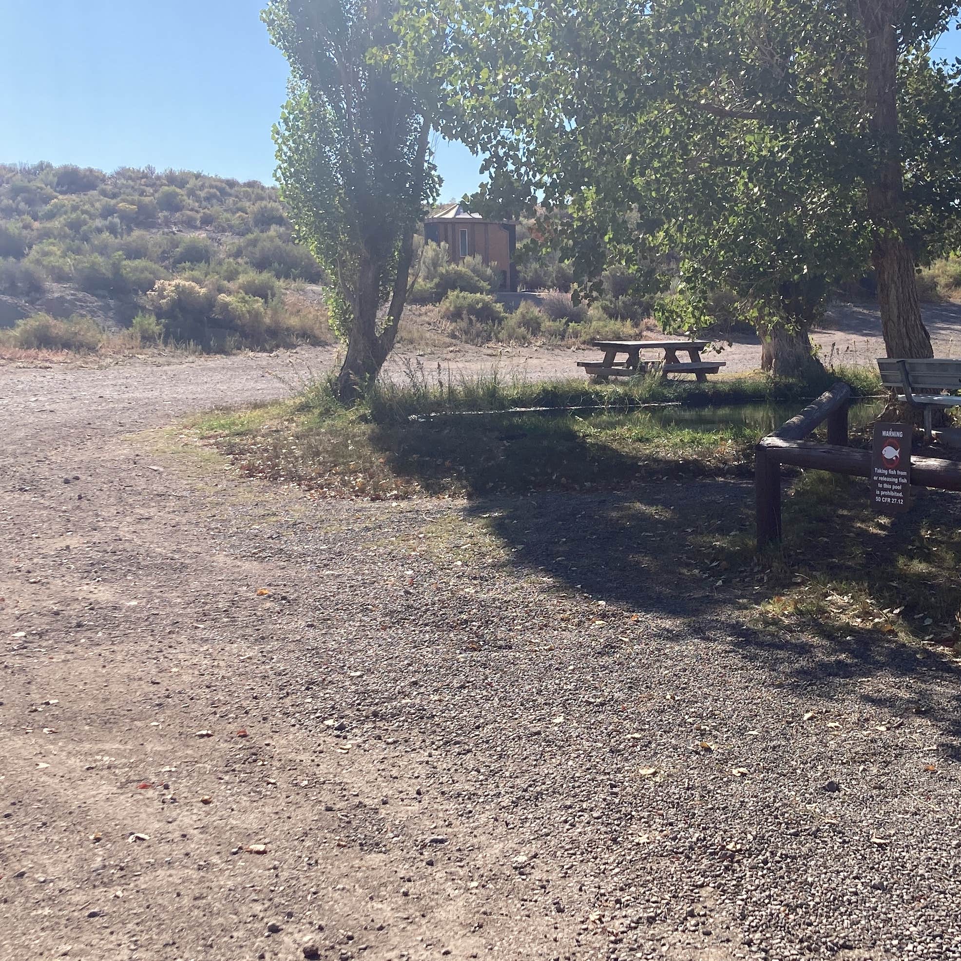 Virgin Valley Campground | Denio, Nevada