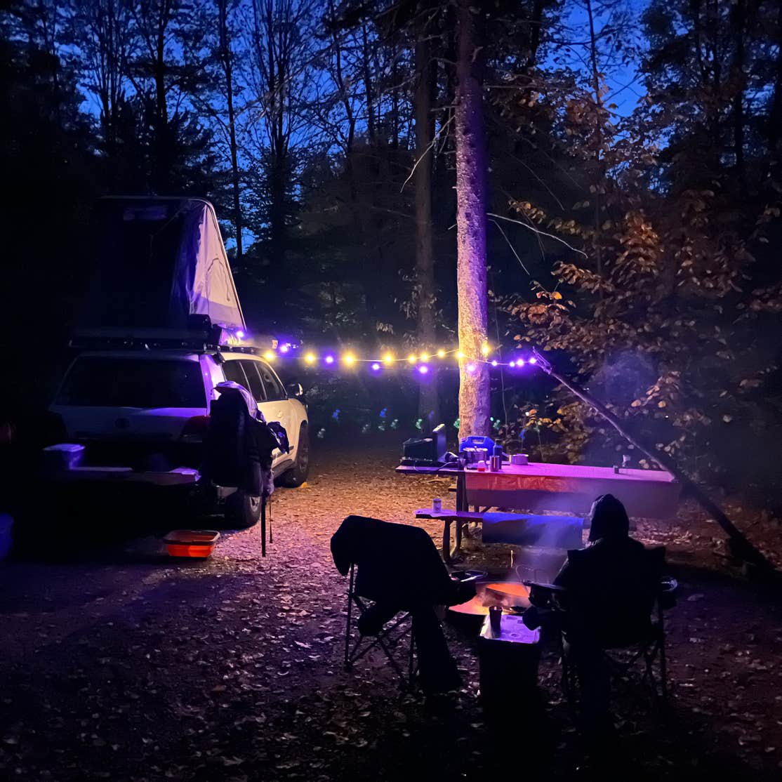 Moose Brook State Park Campground | Gorham, New Hampshire