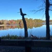 Belleplain State Forest Camping | Woodbine, New Jersey