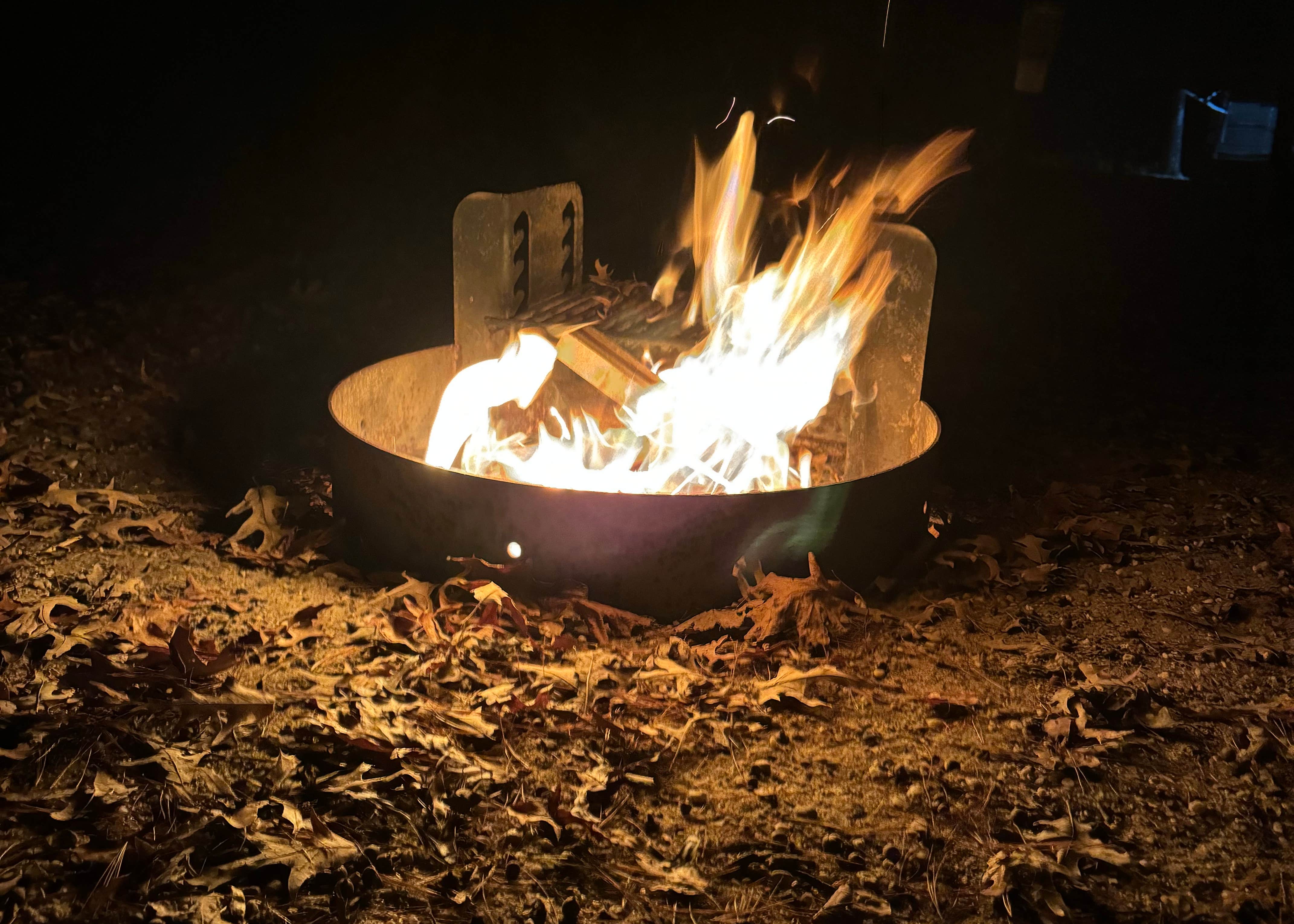 Belleplain State Forest Camping | The Dyrt