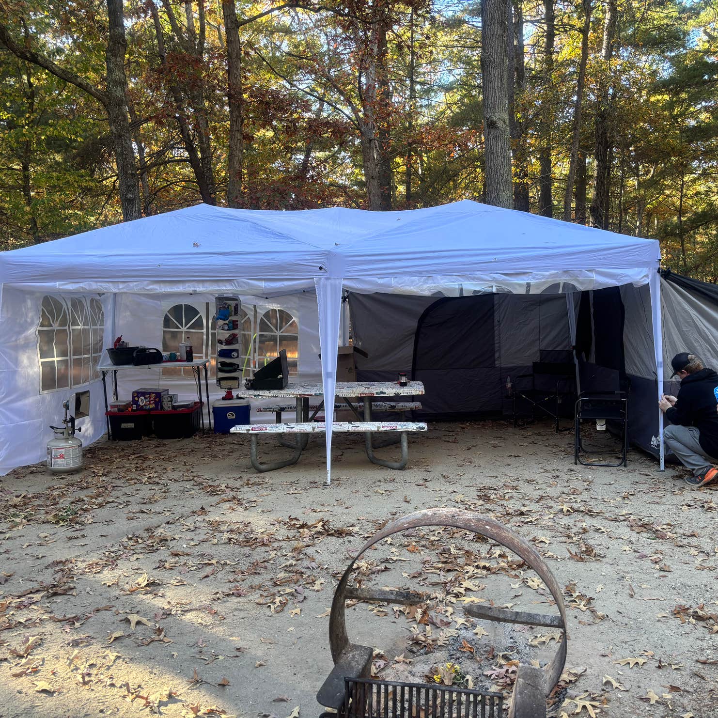 Belleplain State Forest Camping | Woodbine, New Jersey