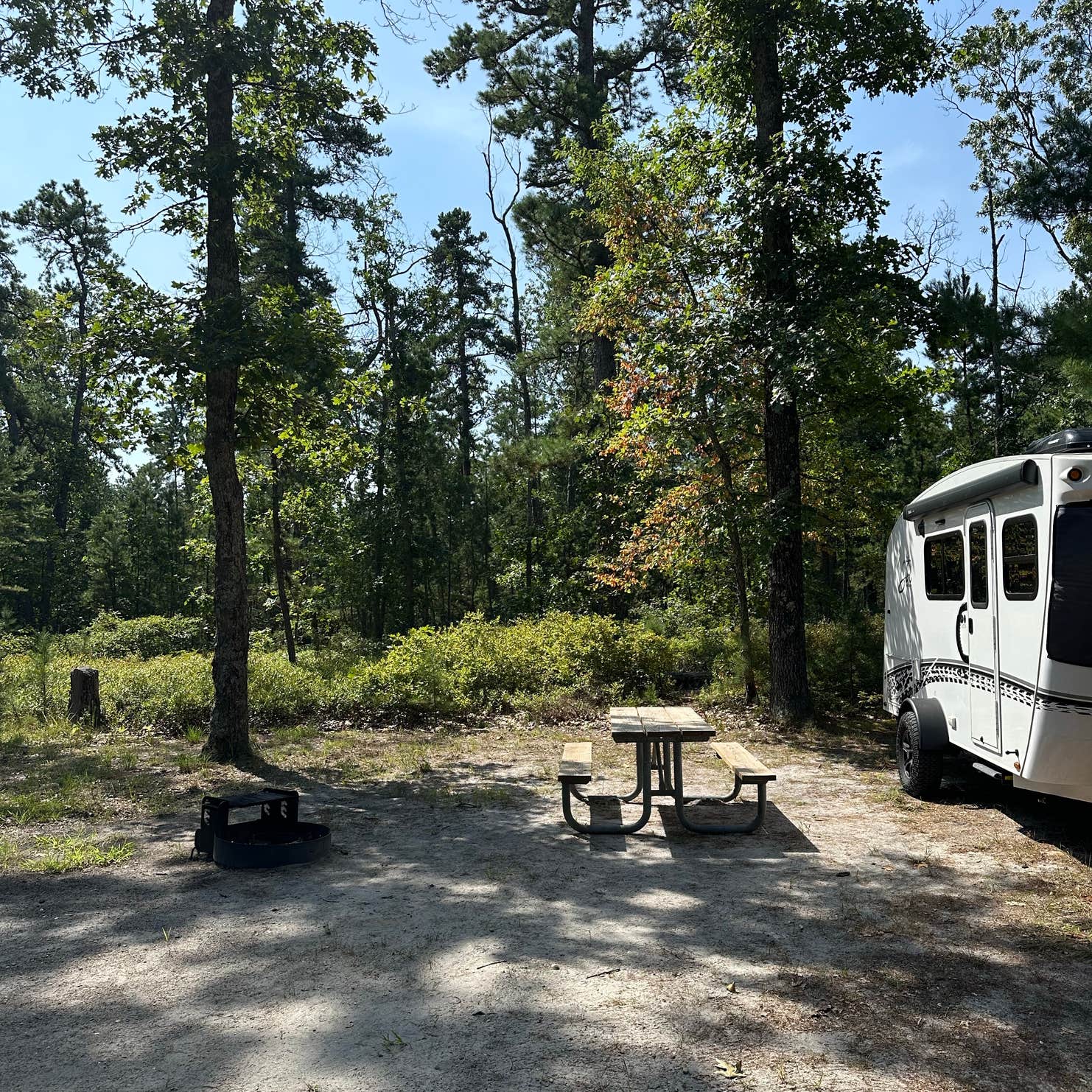 Brendan Byrne State Forest Camping | Chatsworth, New Jersey