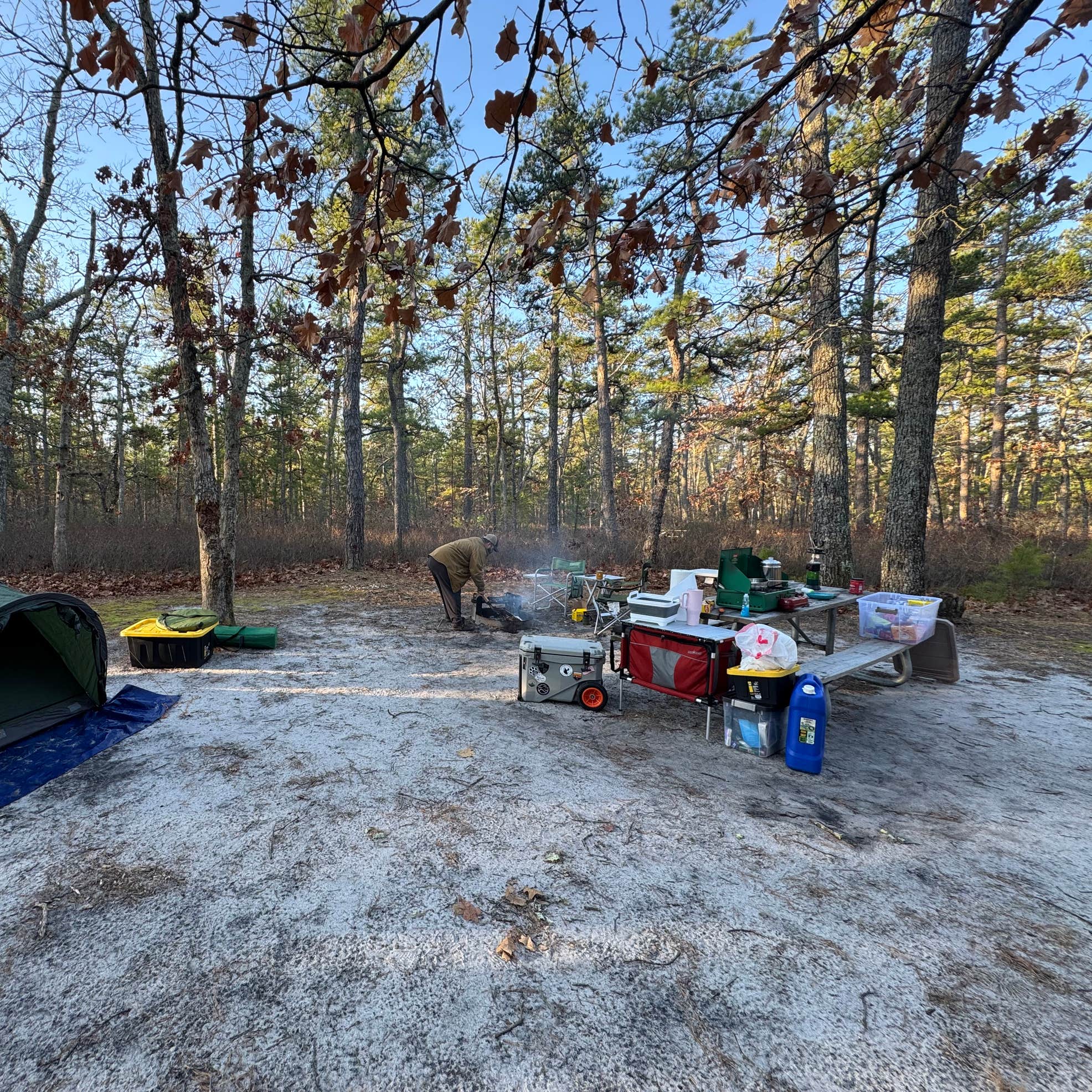 Brendan Byrne State Forest Camping | Chatsworth, New Jersey