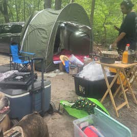 Cheesequake State Park Campground | Matawan, New Jersey