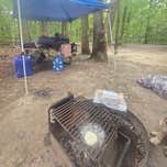 Cheesequake State Park Campground | Matawan, New Jersey