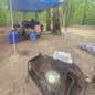 Cheesequake State Park Campground | Matawan, New Jersey
