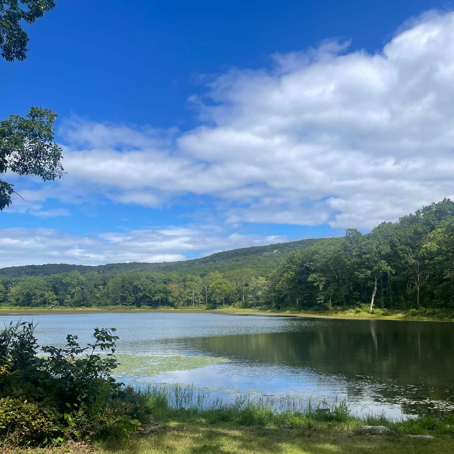 High Point State Park Campground | Matamoras, Pennsylvania