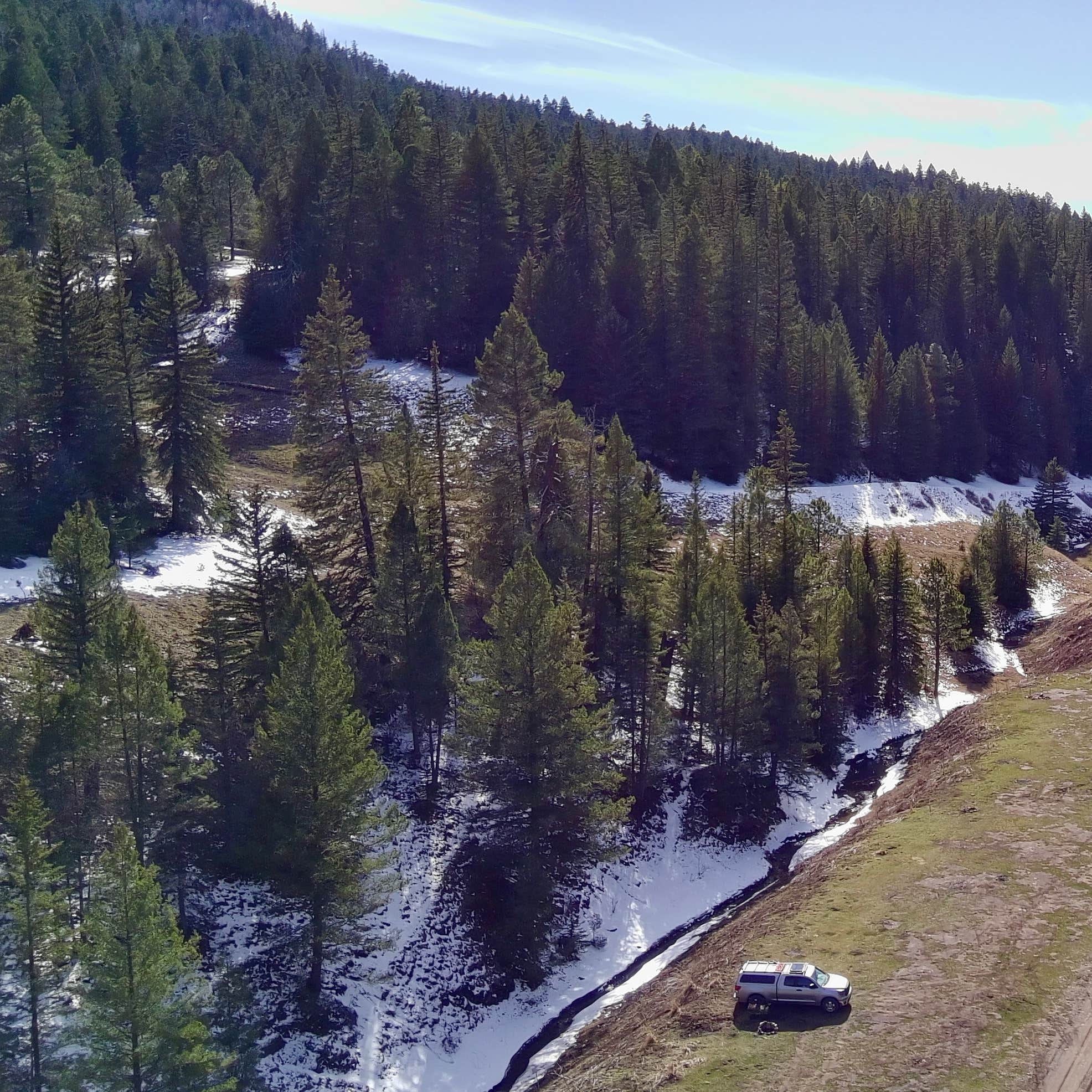Bluff Springs Dispersed Camping | Cloudcroft, NM