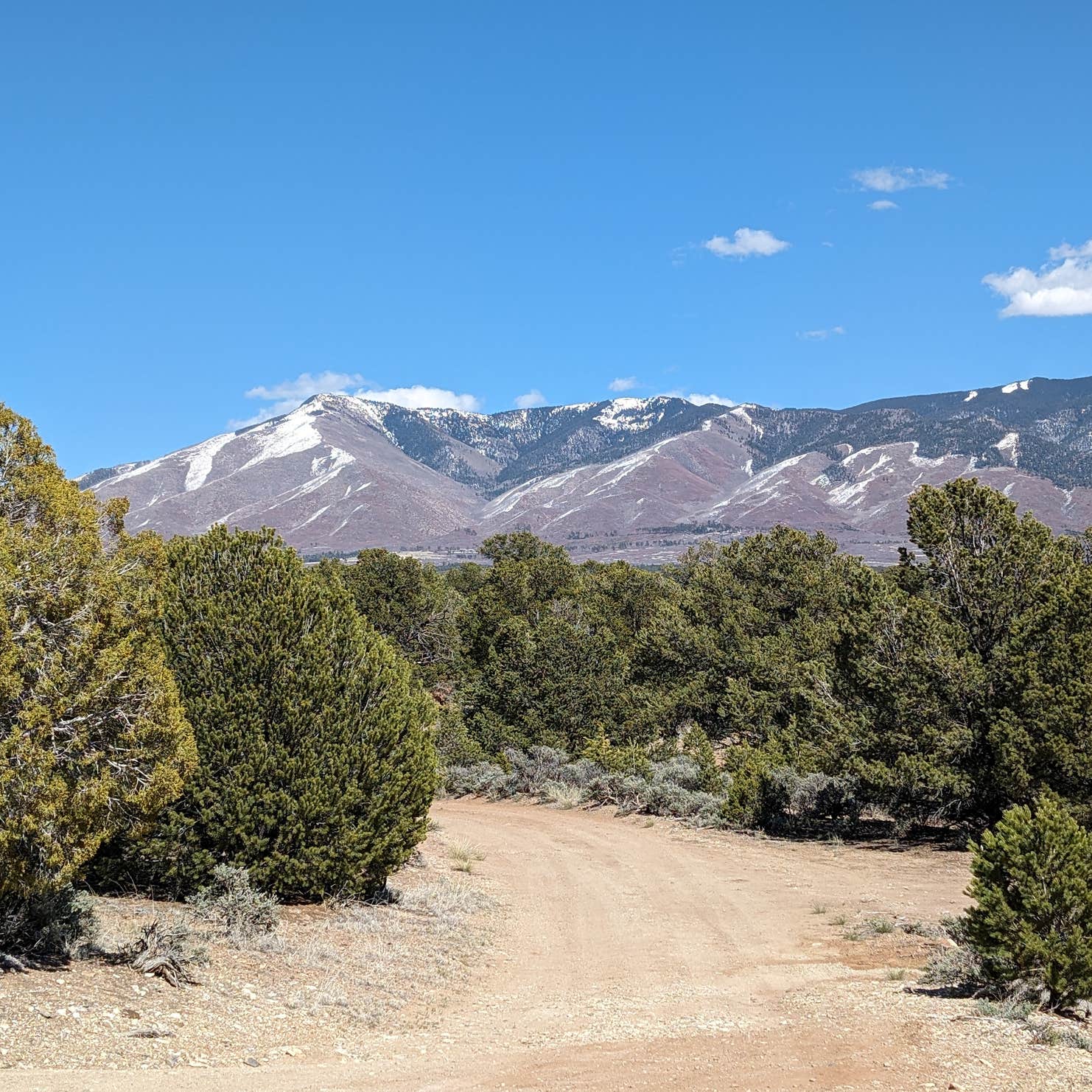 Cebolla Mesa Campground | Questa, NM