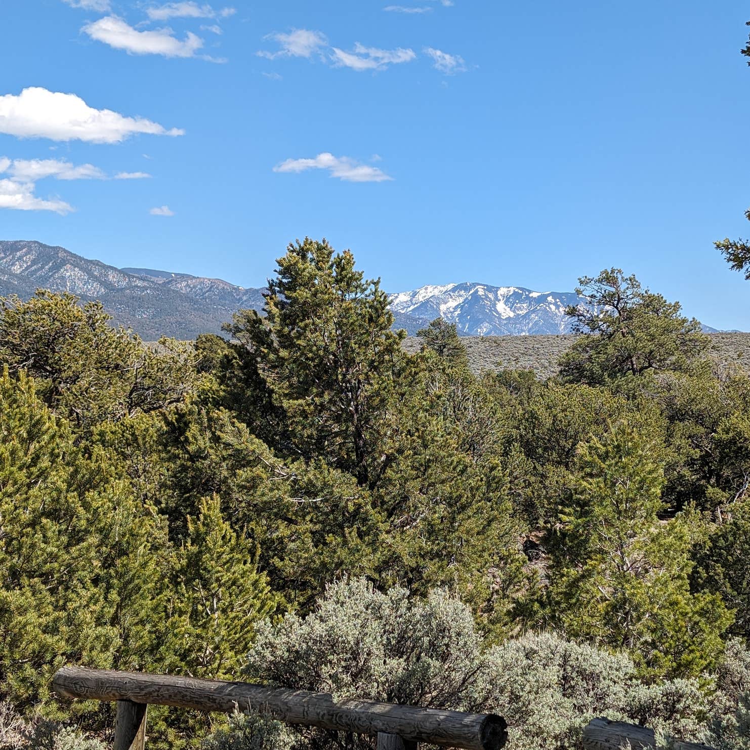 Cebolla Mesa Campground | Questa, NM