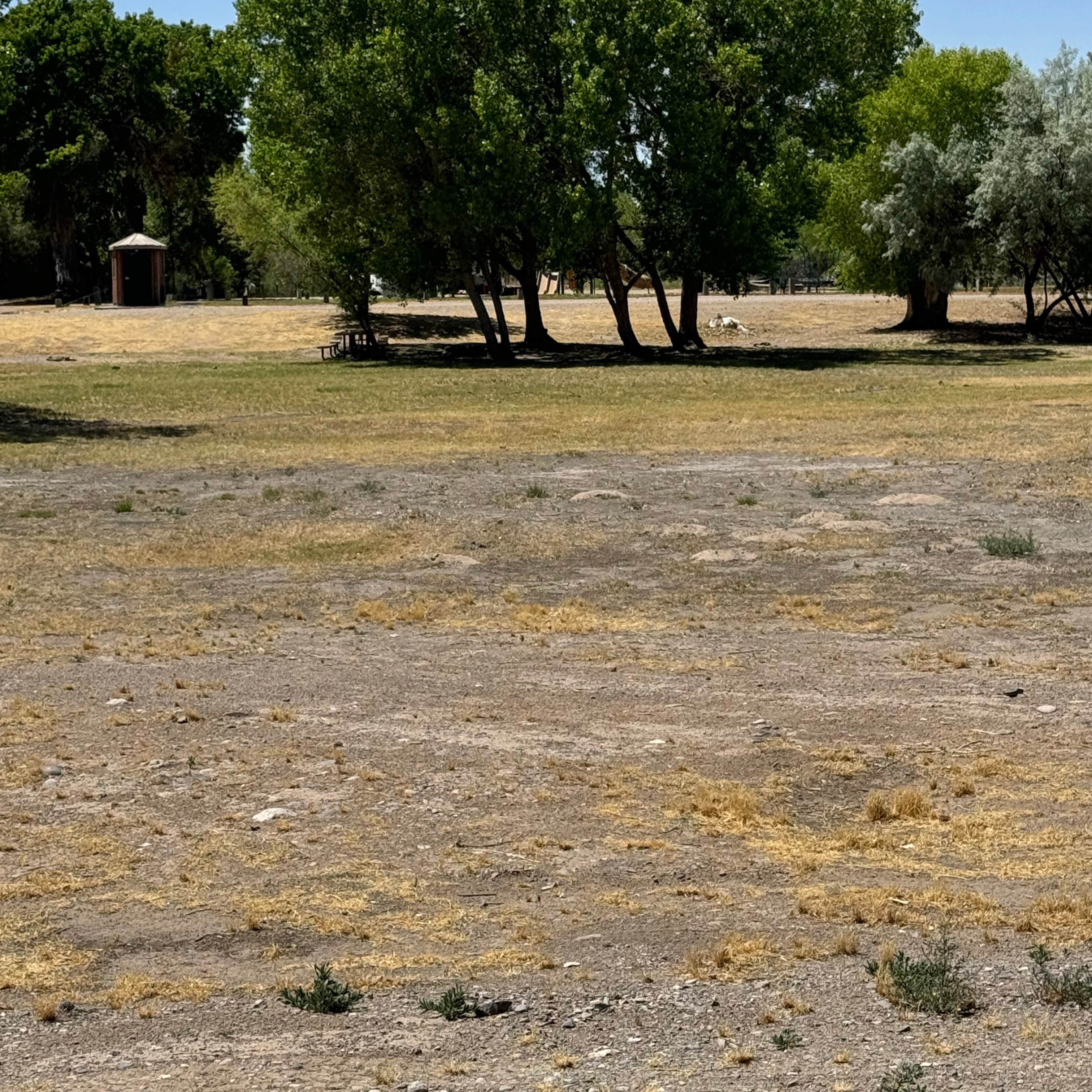 Percha Dam State Park Campground | Arrey, New Mexico