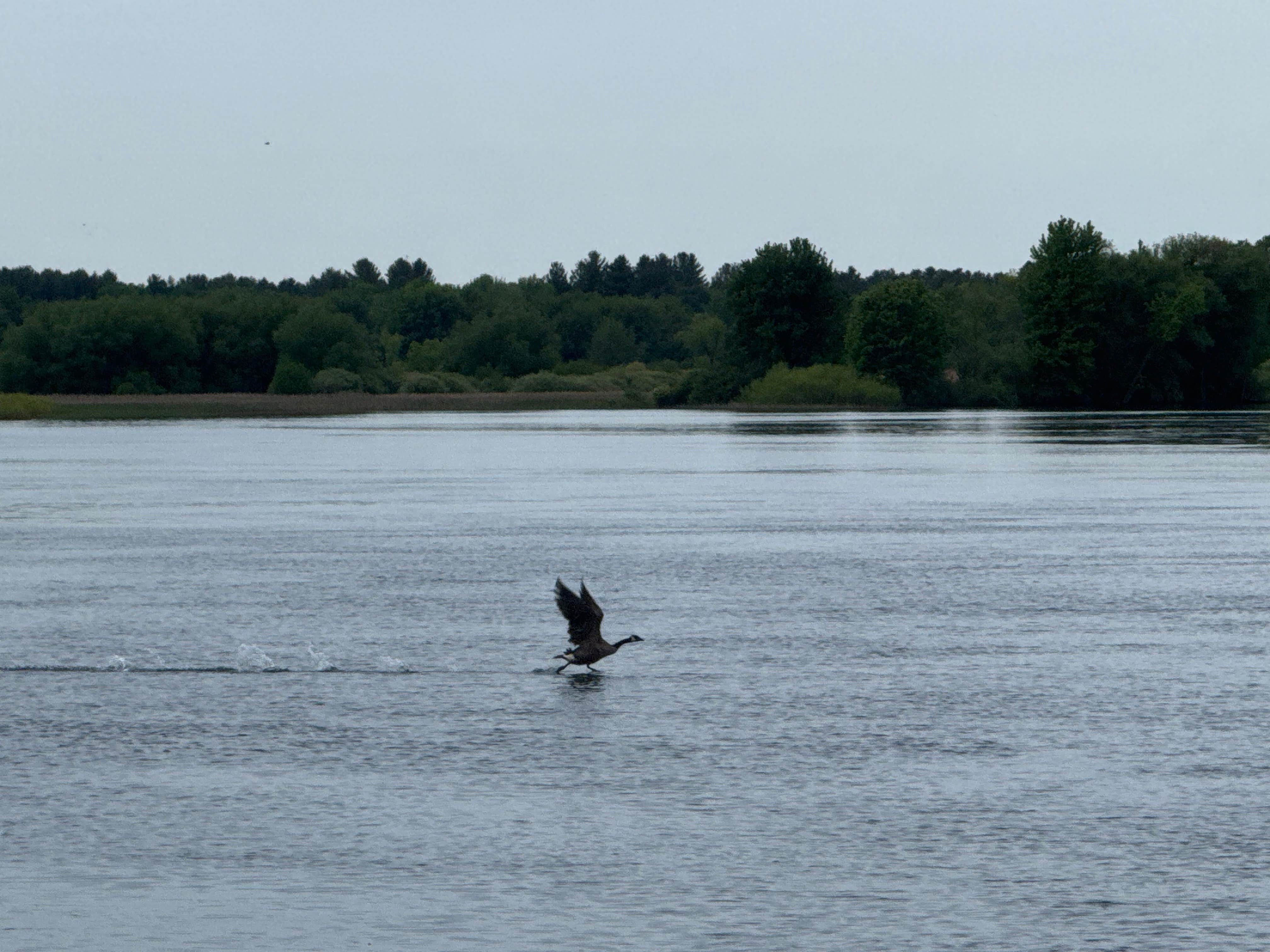 Coles Creek State Park Campground | Massena, New York