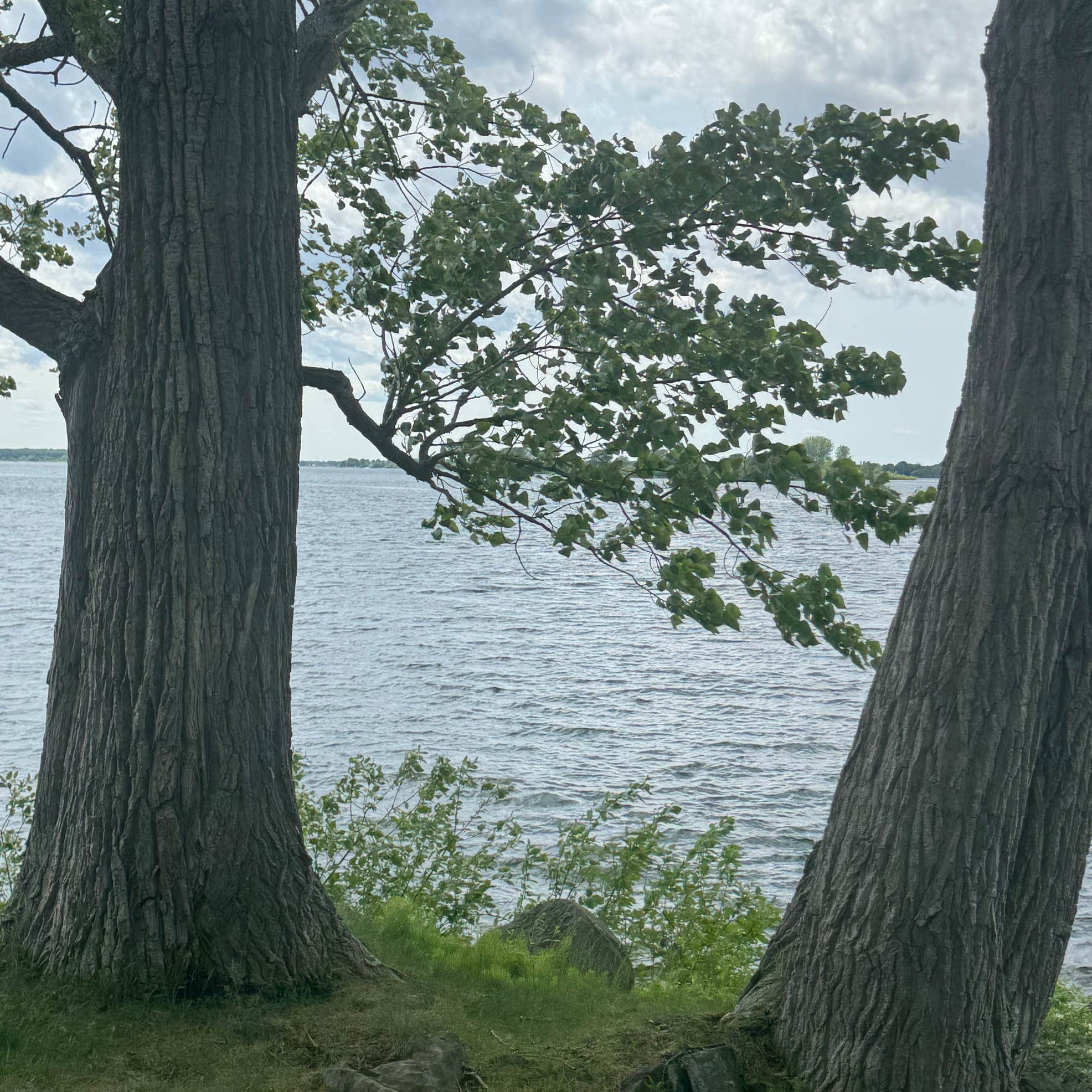 Coles Creek State Park Campground | Massena, New York